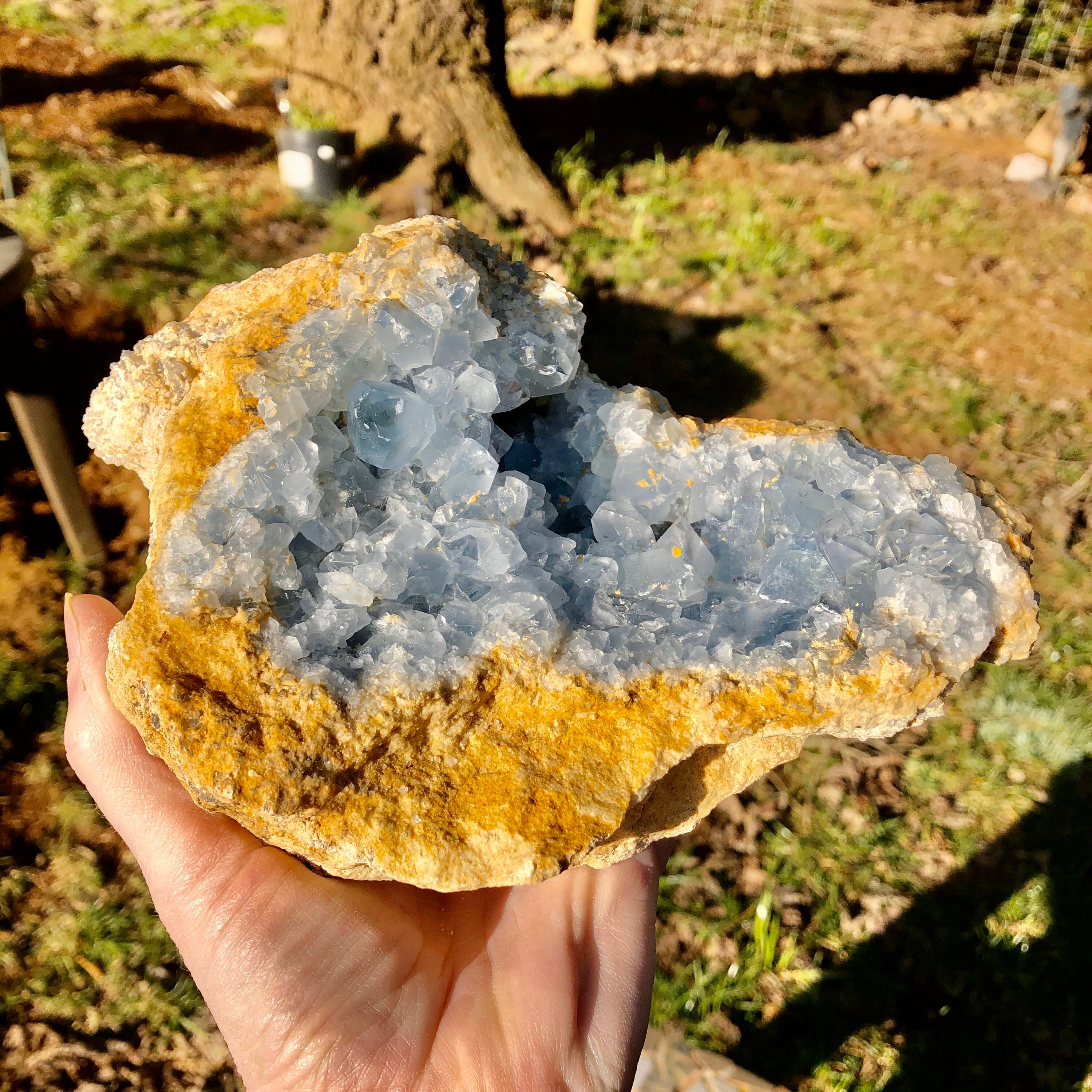 2504g Celestite Or Celestine Geode Crystal Cluster Mineral Display Specimen