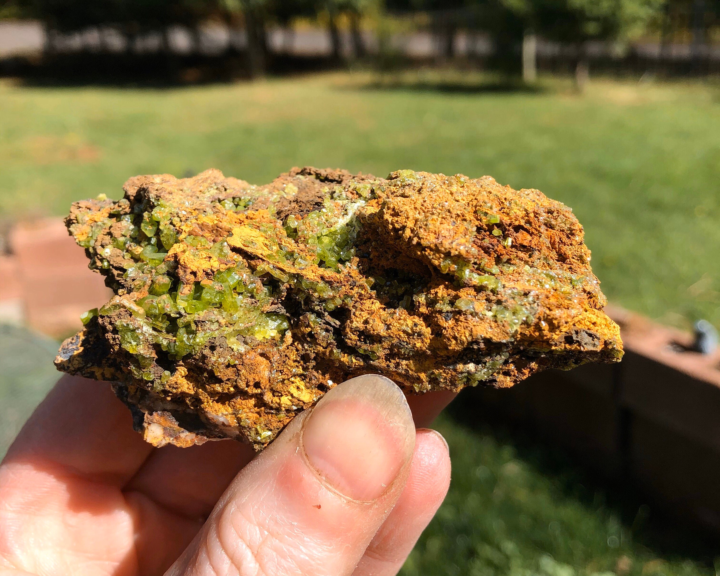 186g Pyromorphite Crystal Cluster Specimen on Matrix
