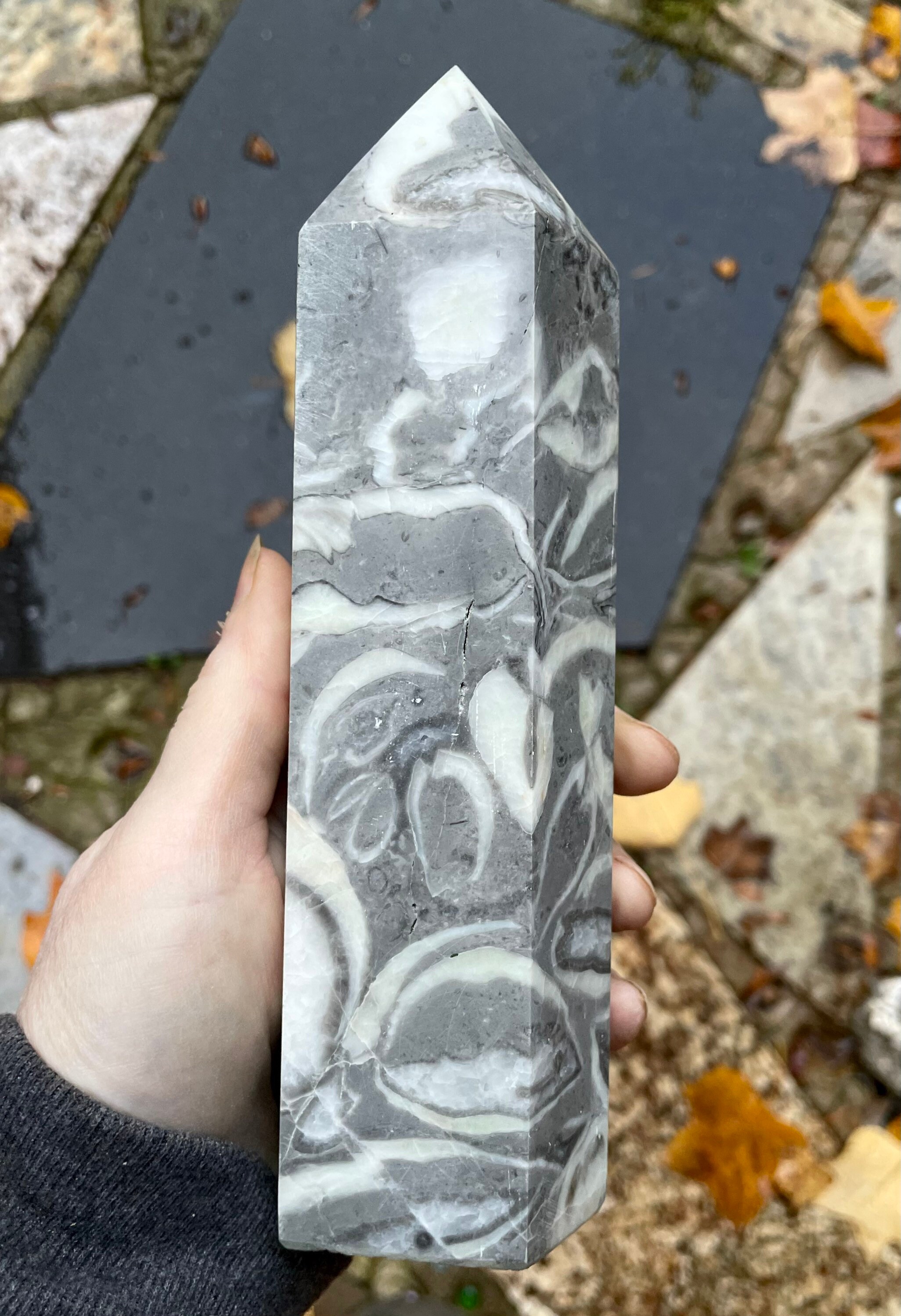 2.22 lb Thousand Eyes Stone or Fossil Shellstone Jasper Obelisk Pillar ...