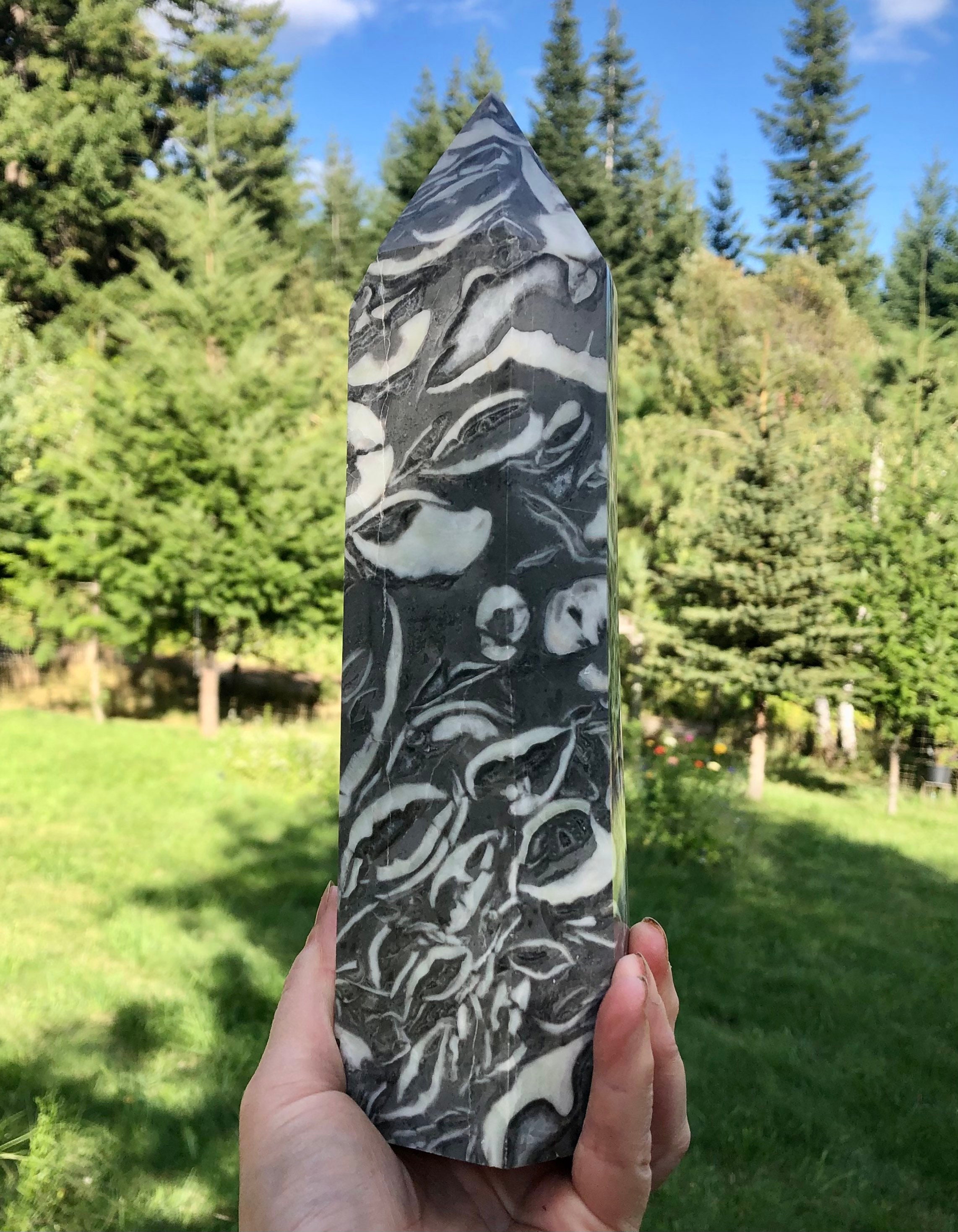 4.35 lb Thousand Eyes Stone aka Shellstone Jasper Obelisk Pillar Tower ...