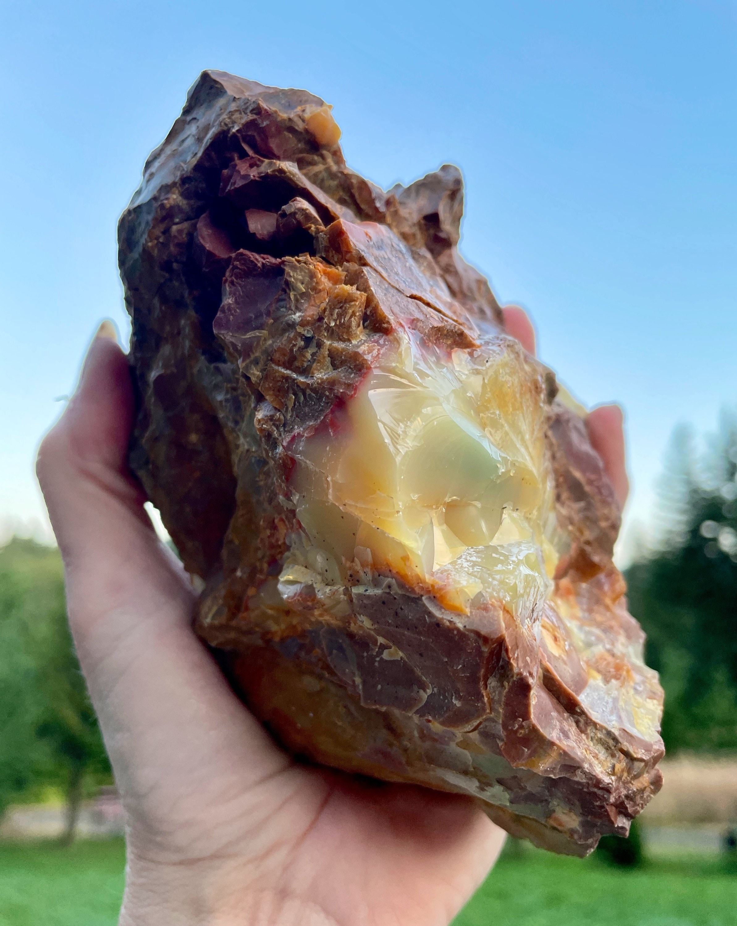 2.35 lb Oregon Opal on Rhyolite Jasper Mineral Display Specimen