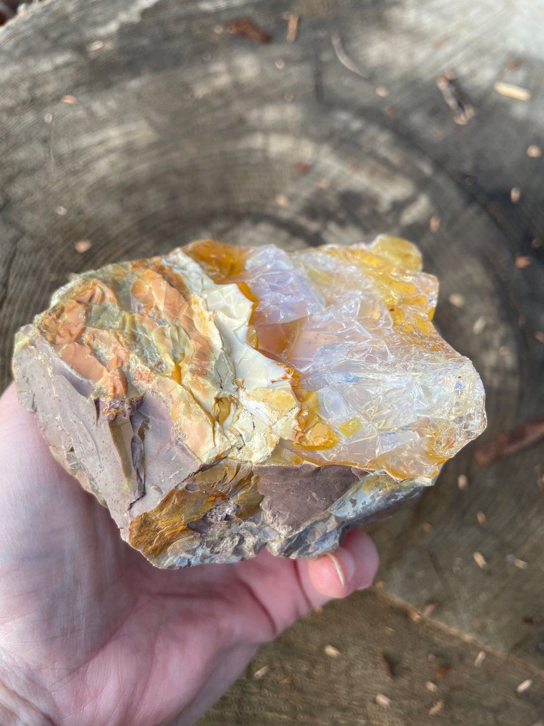 1.3 Lb Old Stock Oregon Opal on Rhyolite Jasper Mineral Display ...