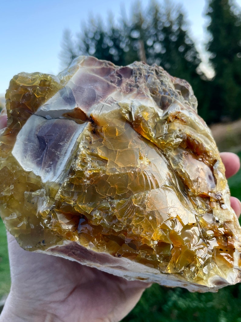 2.85 Lb Green Oregon Opal on Rhyolite Jasper Mineral Display - Etsy