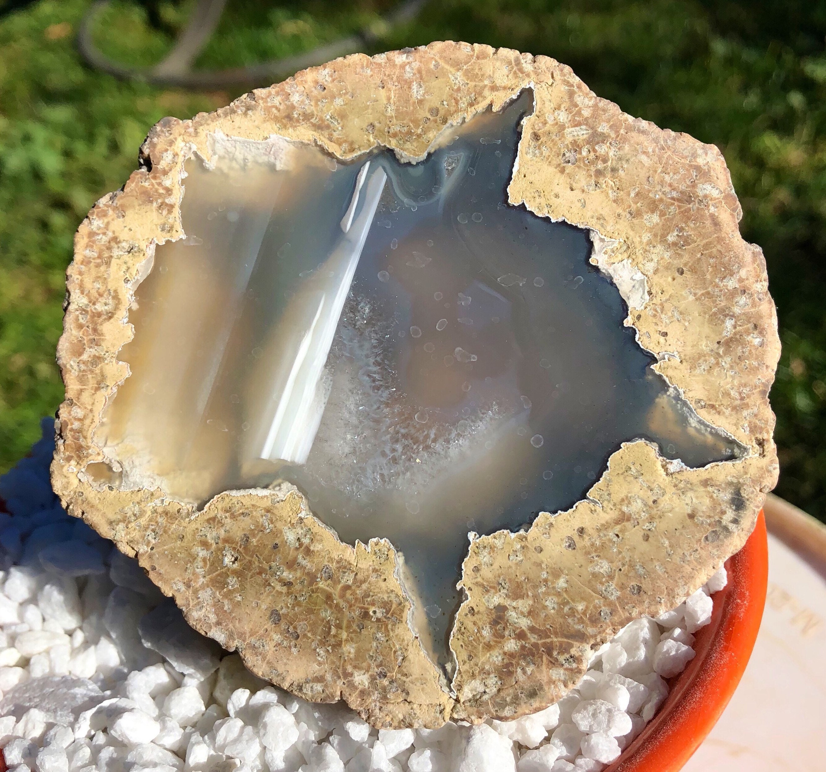 Thunder Egg half from Eastern Oregon