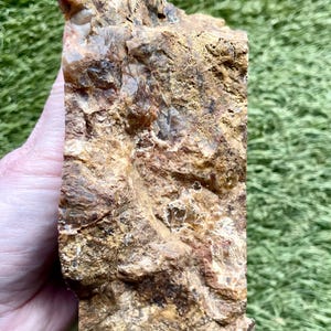 3.28 Lb Oregon Picture Jasper Rough Lapidary Mineral Specimen - Etsy