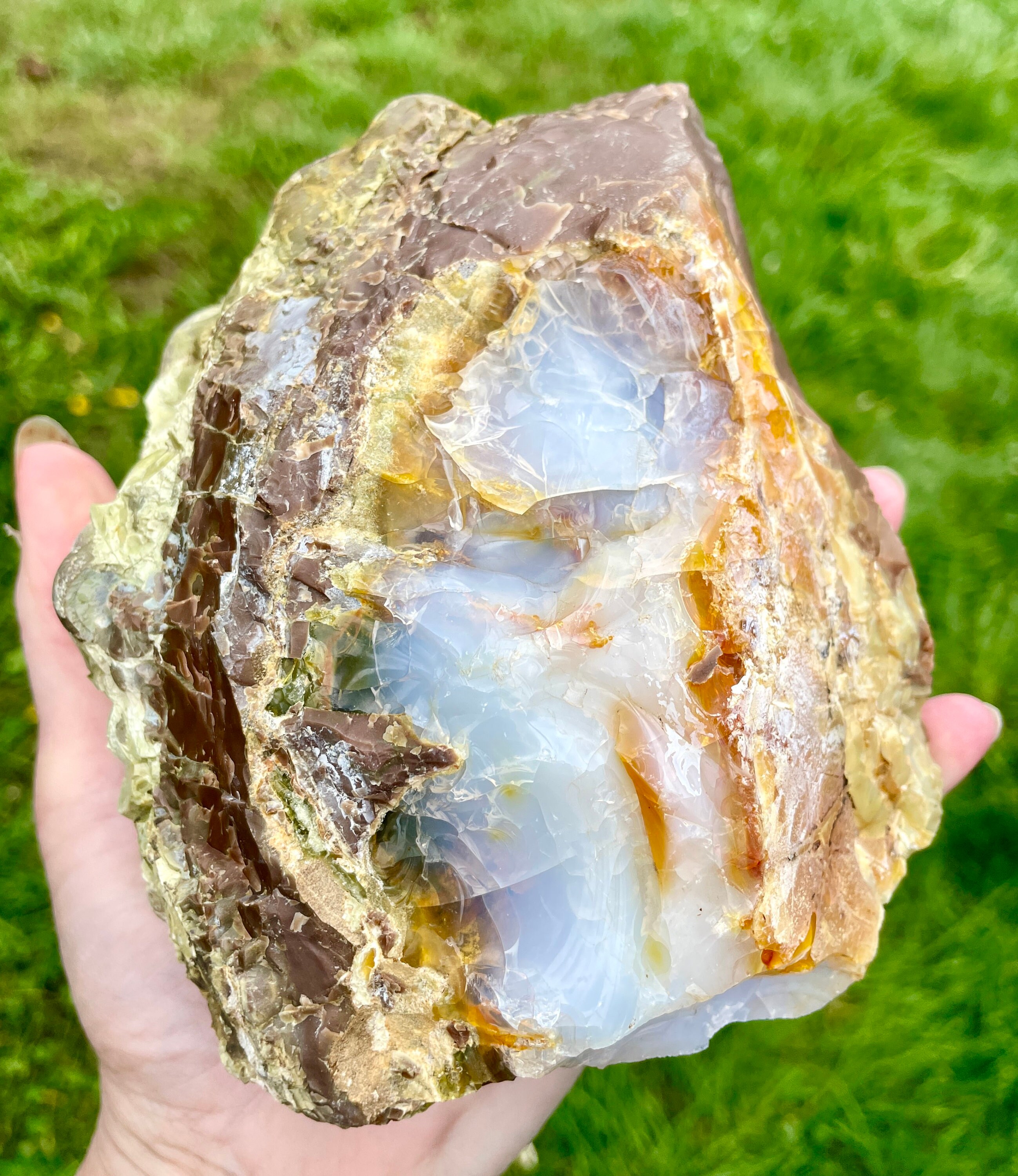 3.6 lb Oregon Opal Display Specimen from Opal Butte