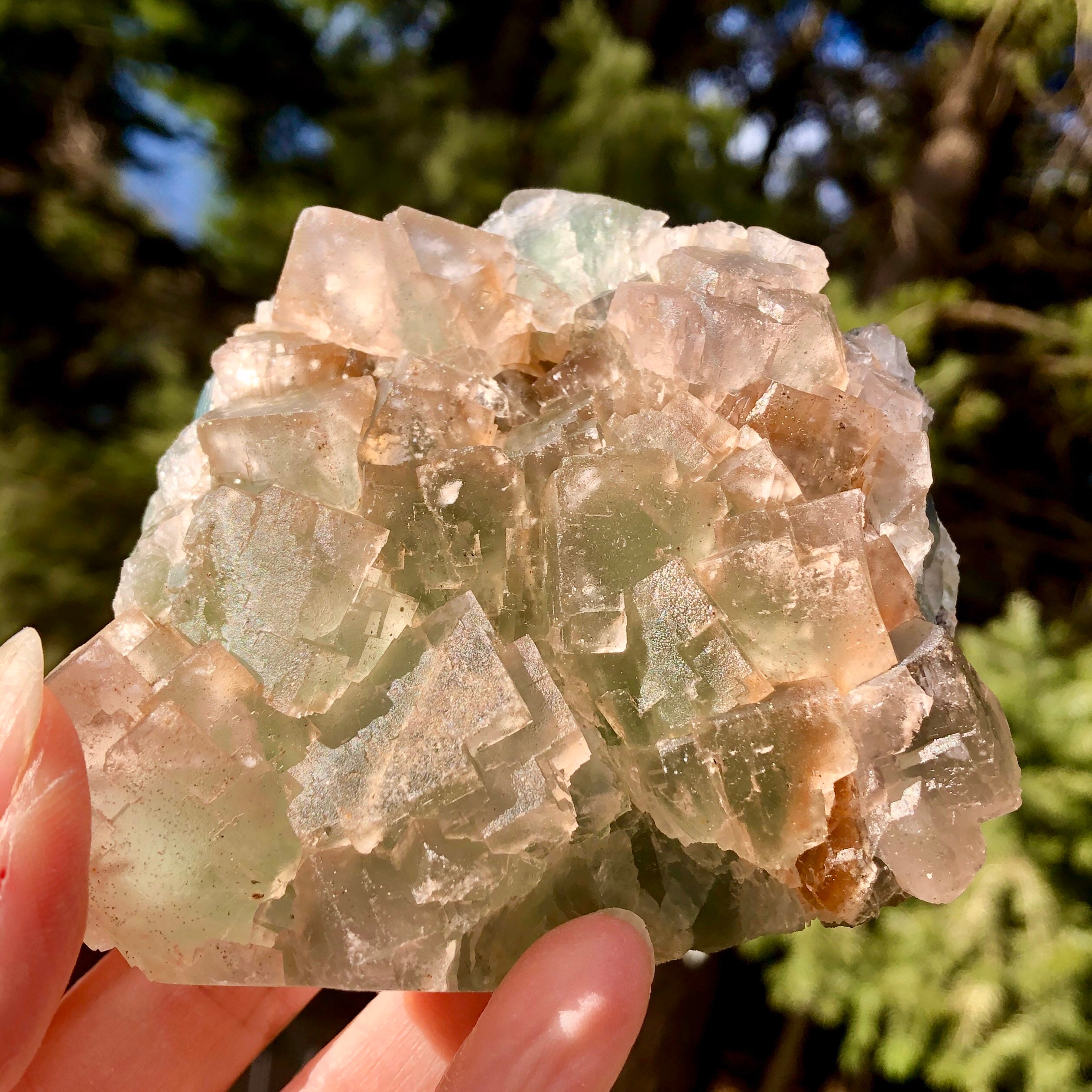 396g Purple Over Green Cubic Ladder Fluorite Crystal Cluster Mineral ...