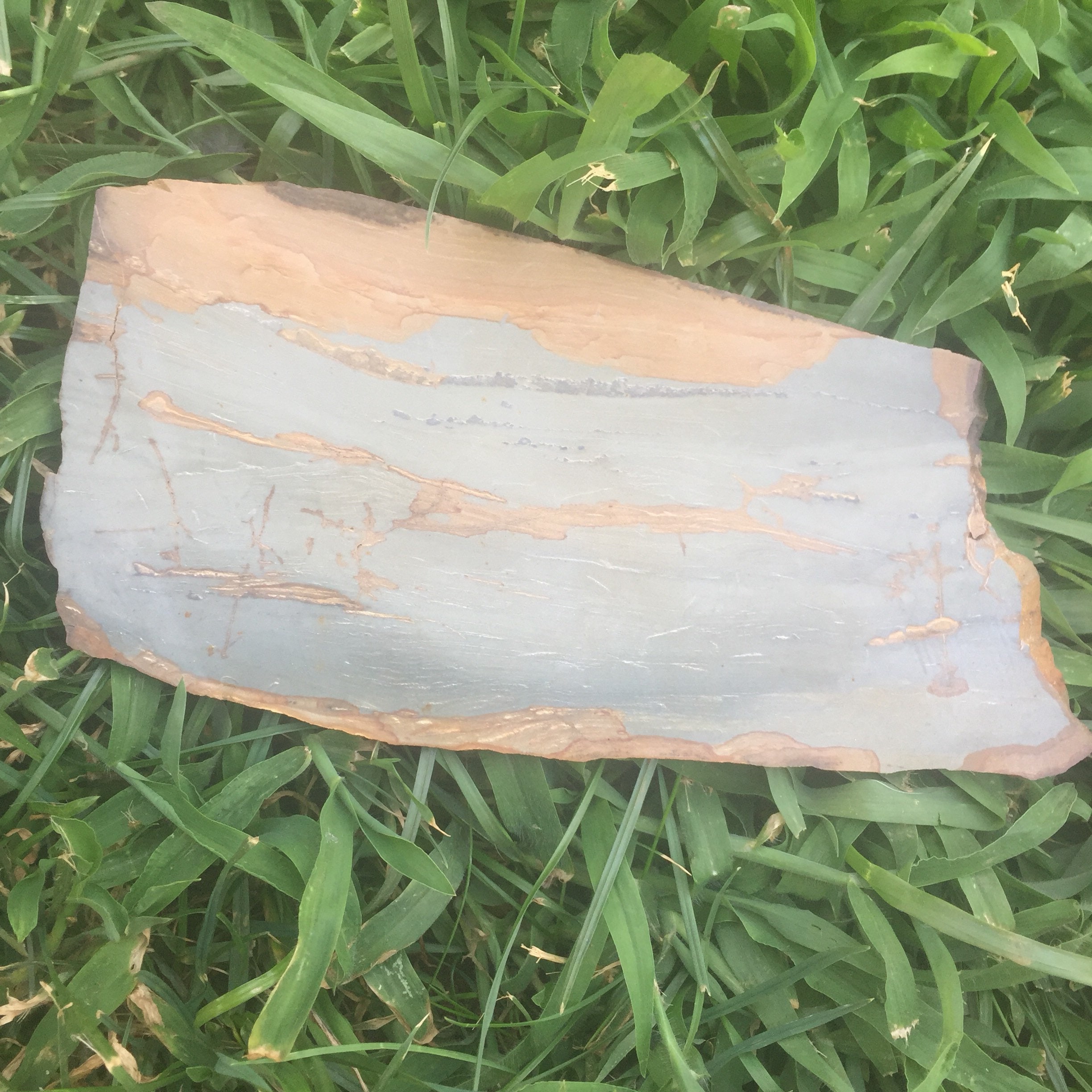 Large Owyhee Jasper slab from Oregon, USA for lapidary use, unpolished