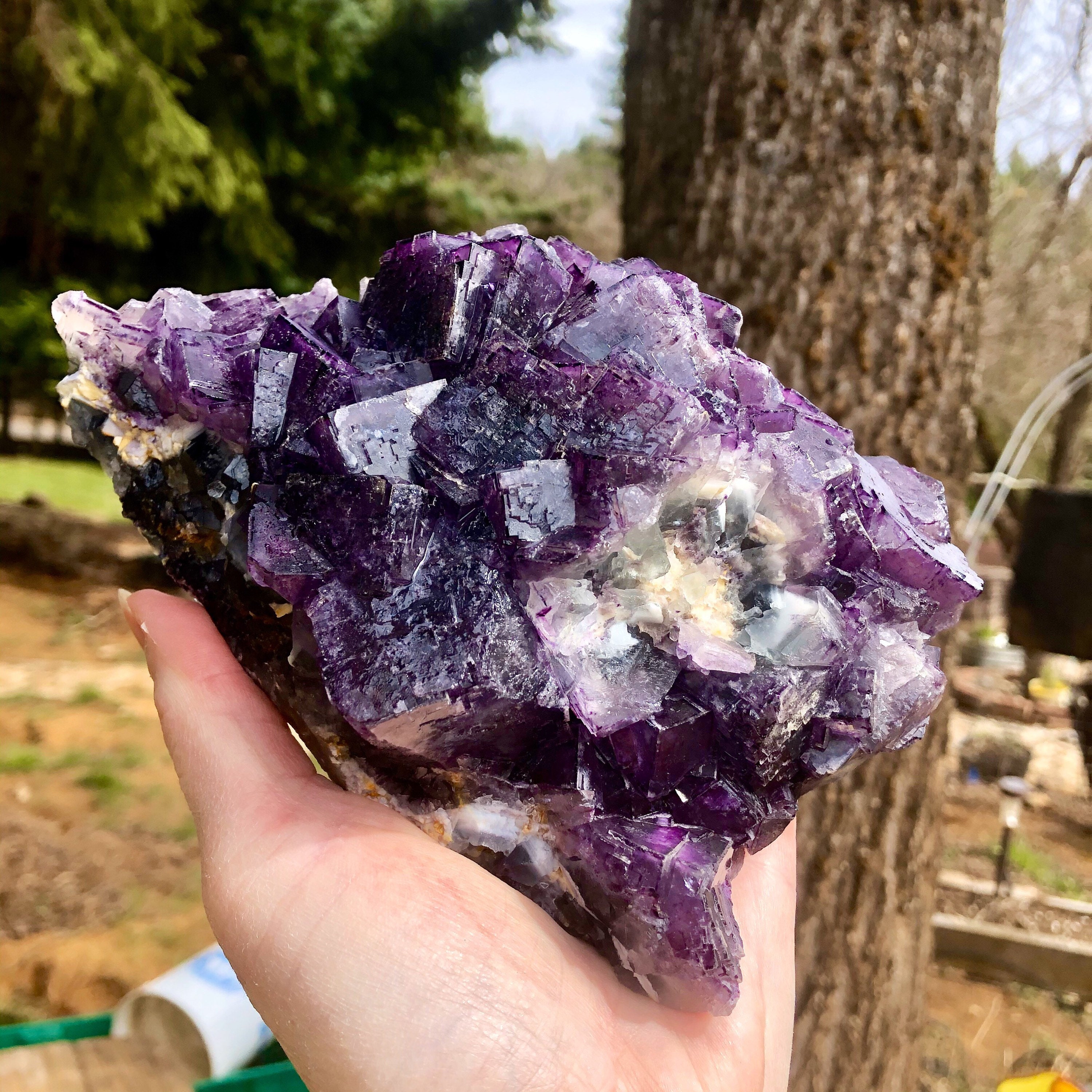 1394g Large Museum Quality Purple And Blue Cubic Fluorite Crystal ...