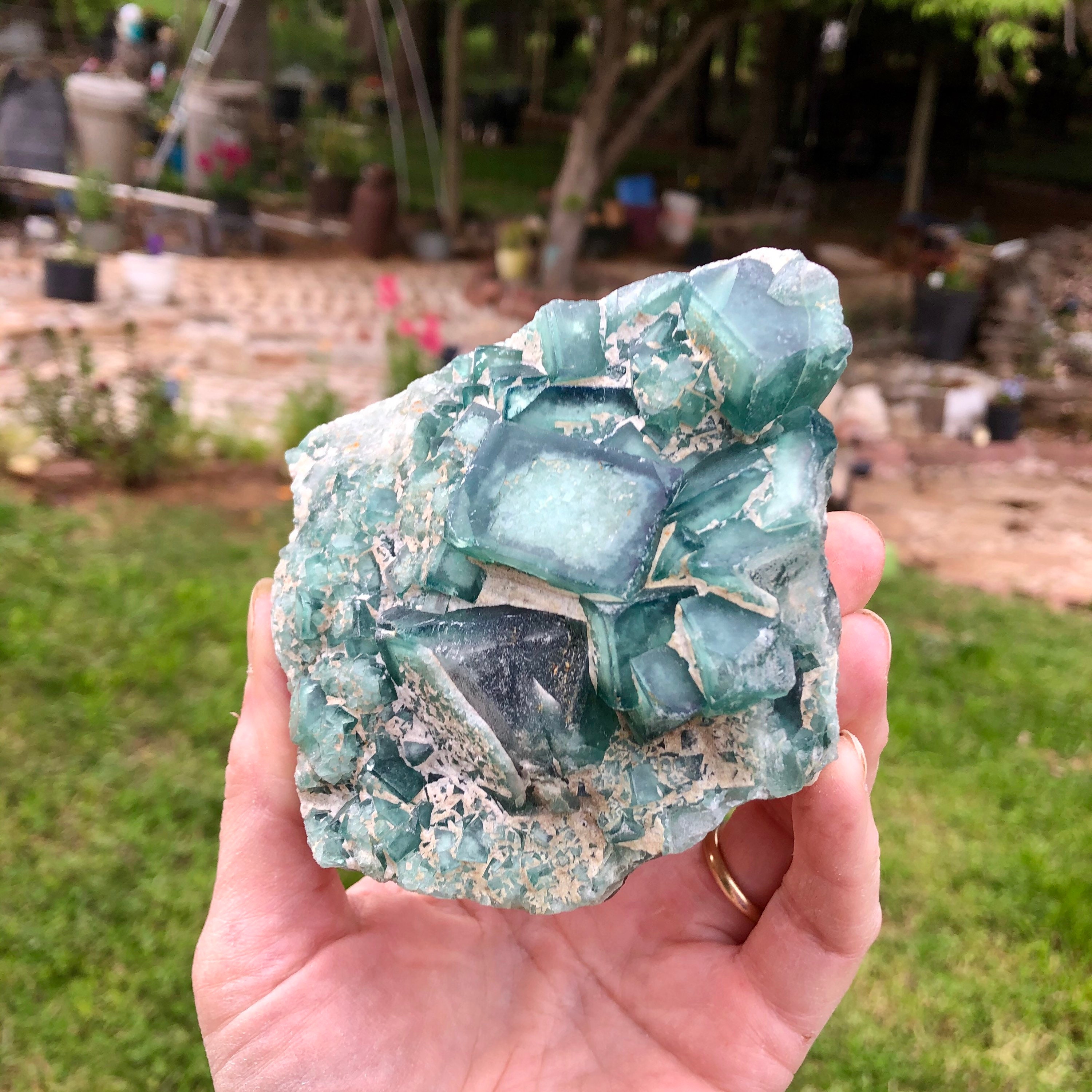 542g Large And Small Green Cubic Ladder Type Fluorite Crystal Cluster ...