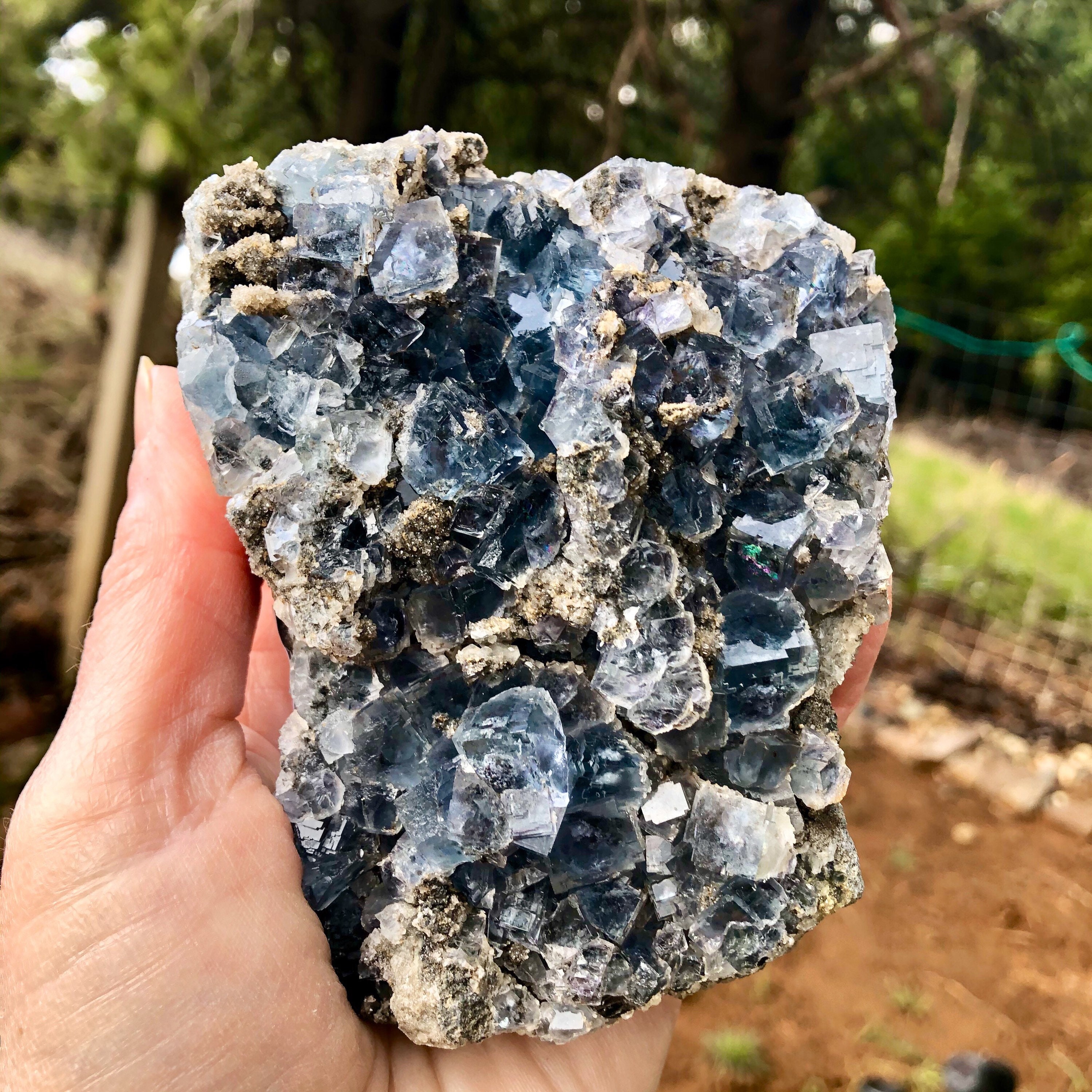 640g Transparent Blue Cubic Fluorite On Gray Druzy Smoky Quartz Crystal ...