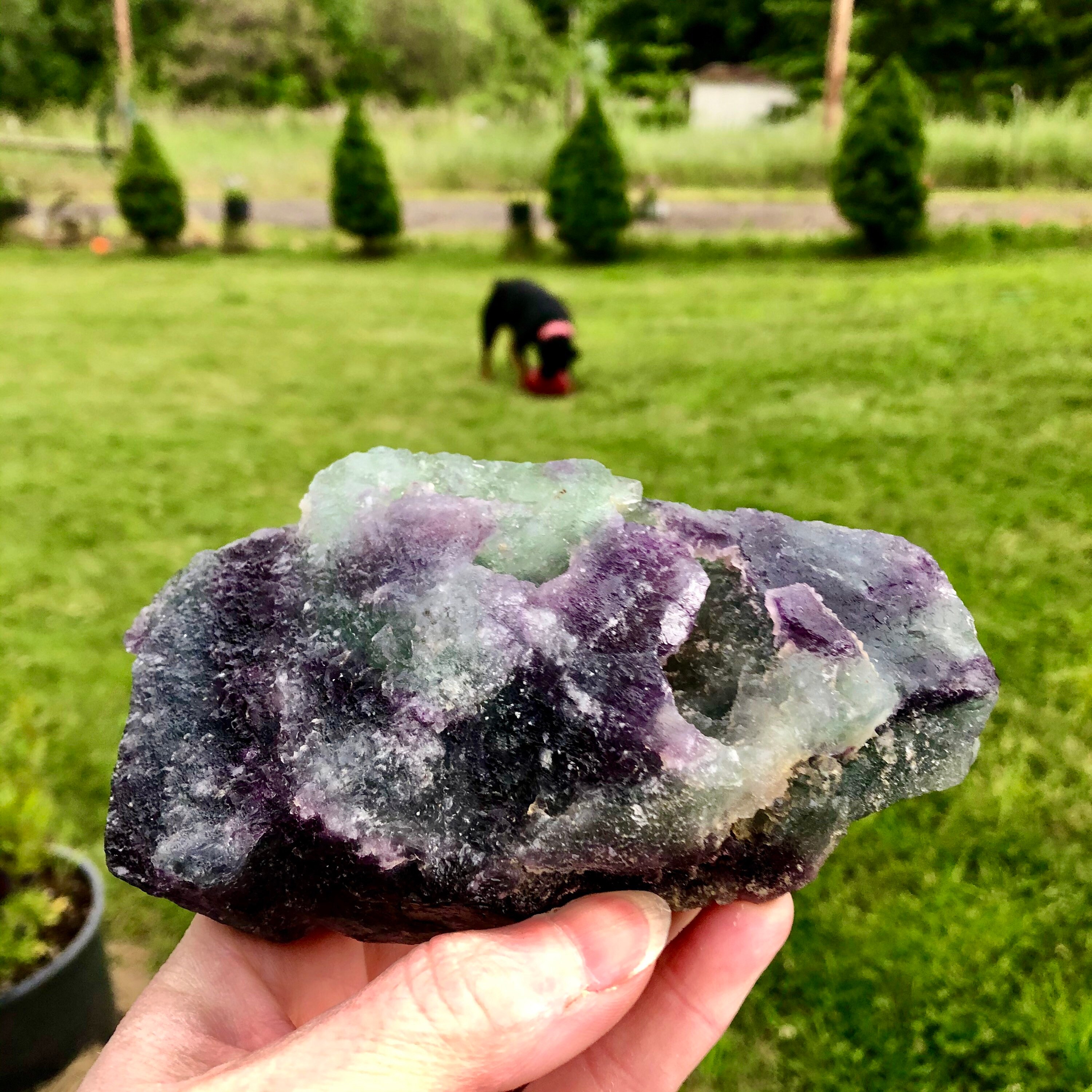 718g Rainbow Fluorite Ladder Type Mineral Display Specimen