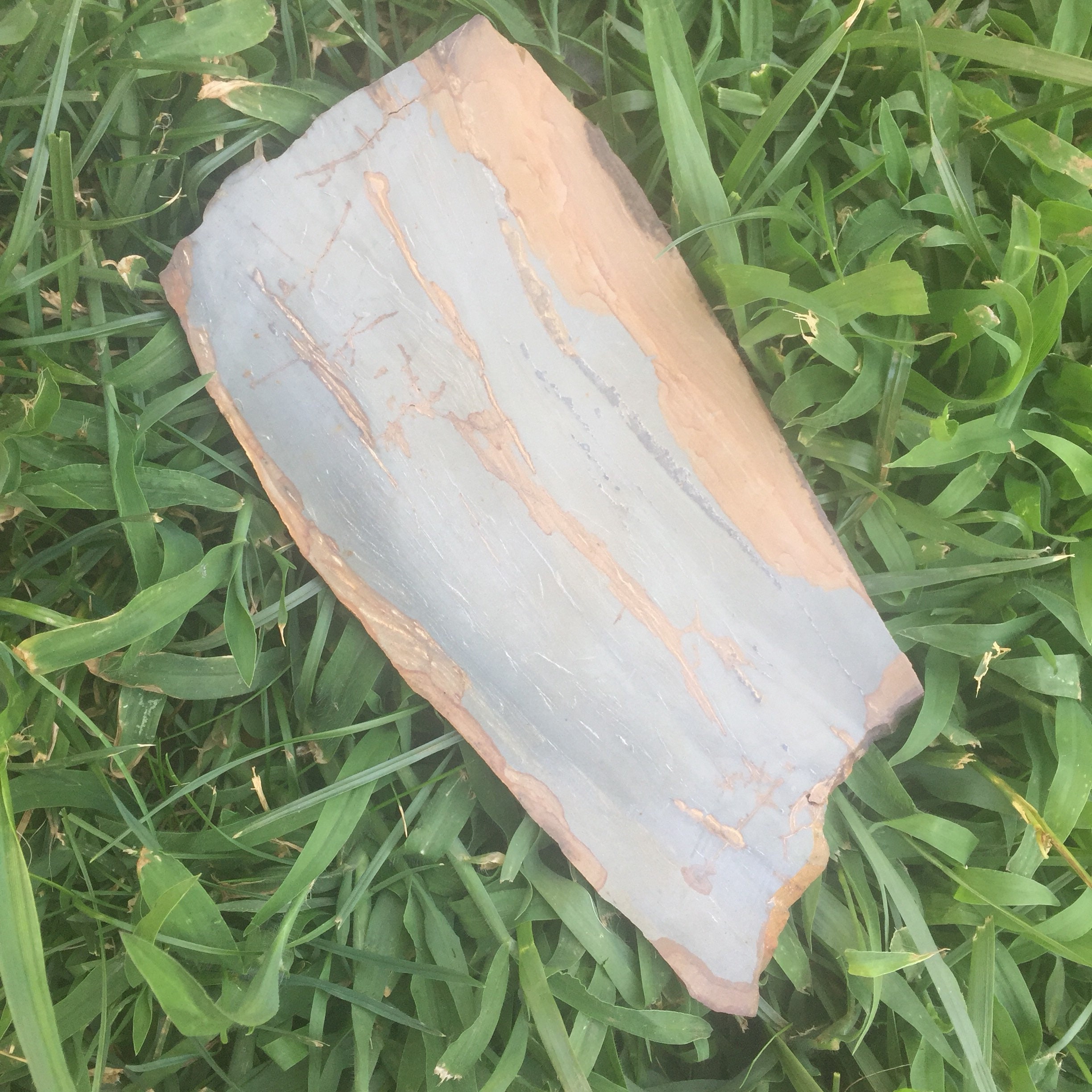 Large Owyhee Jasper slab from Oregon, USA for lapidary use, unpolished