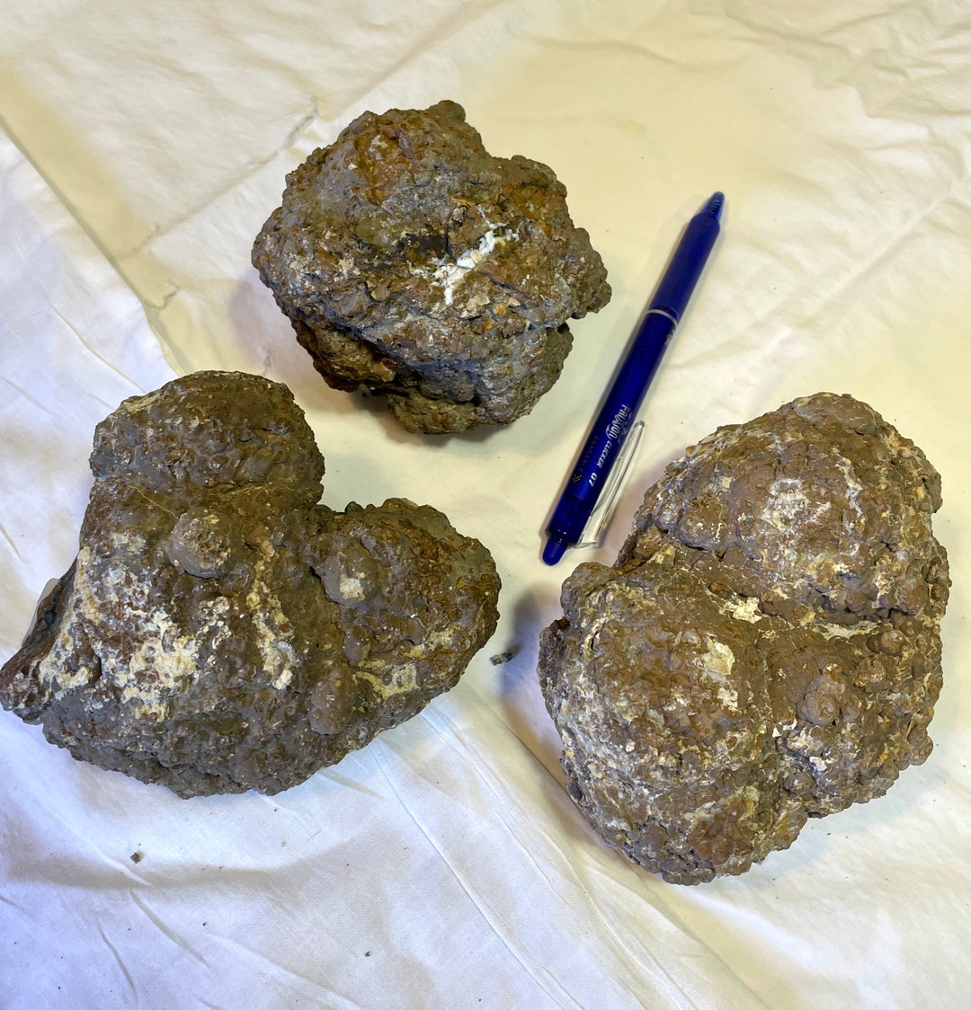 Trio of Whole Uncut Oregon Thunder Eggs - Etsy