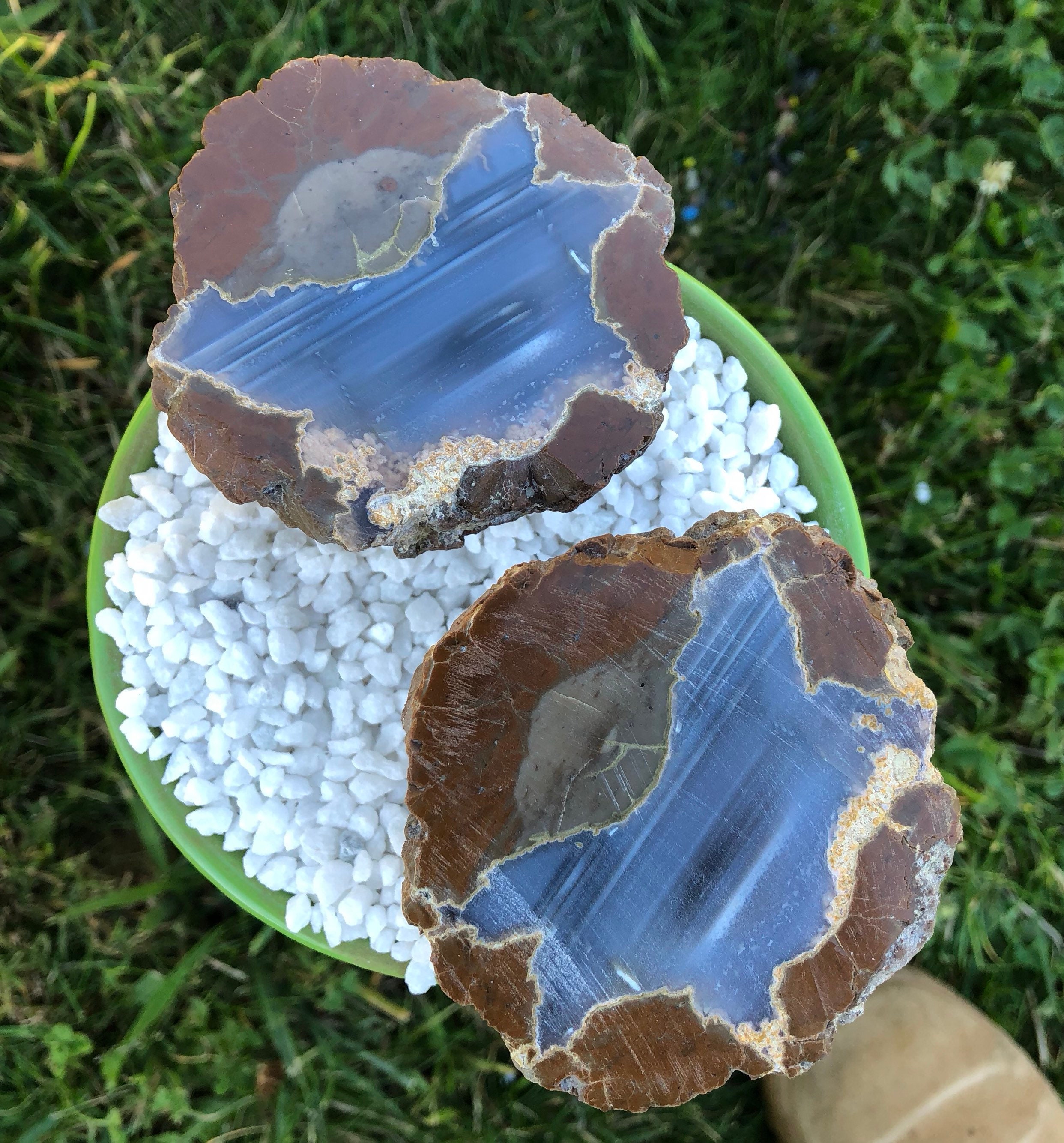 Thunder Egg cut in half and polished from Richardsons Ranch in Oregon