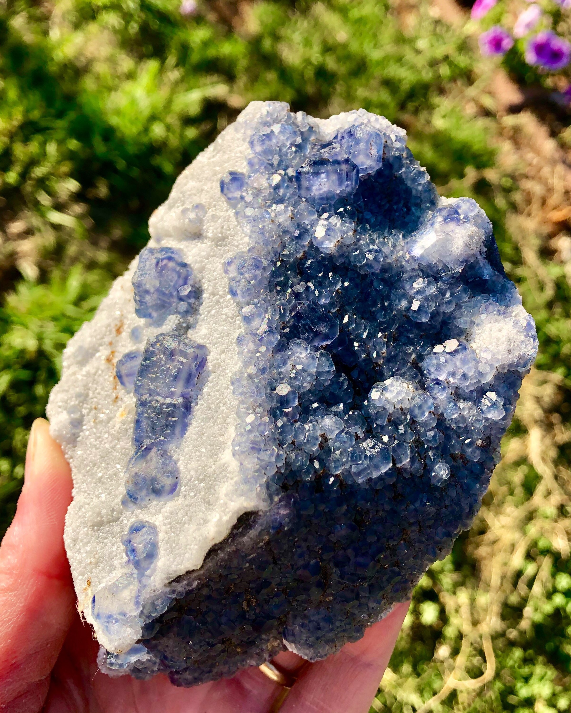 440g Blue Cubic Fluorite On White Druzy Quartz Crystal Cluster Mineral ...
