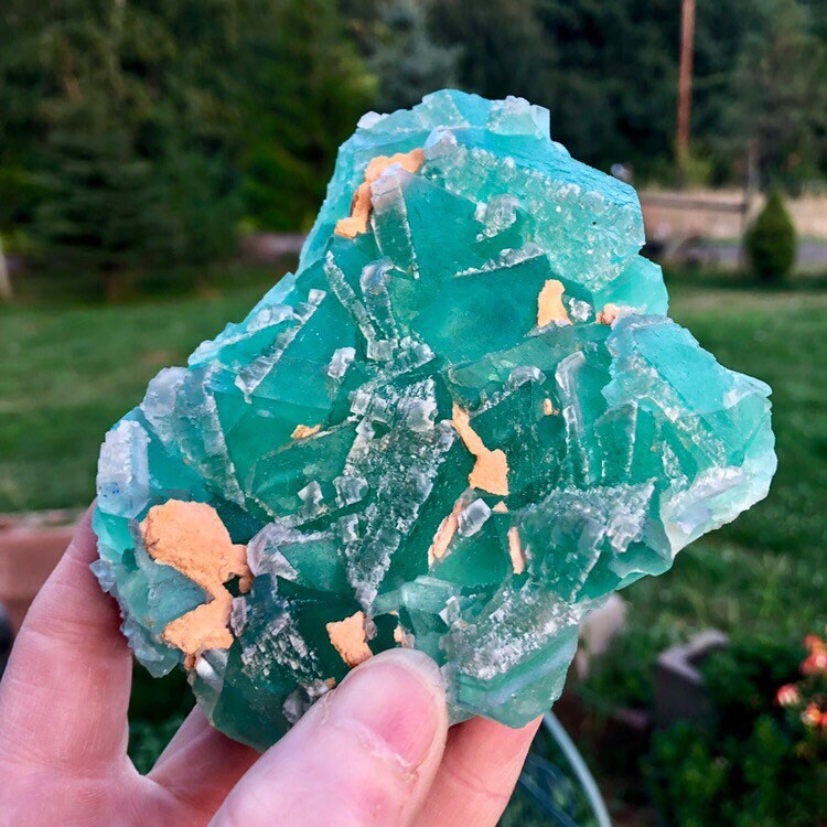 678g Neon Green Cubic Fluorite Crystal Cluster with Orange brown Barite ...