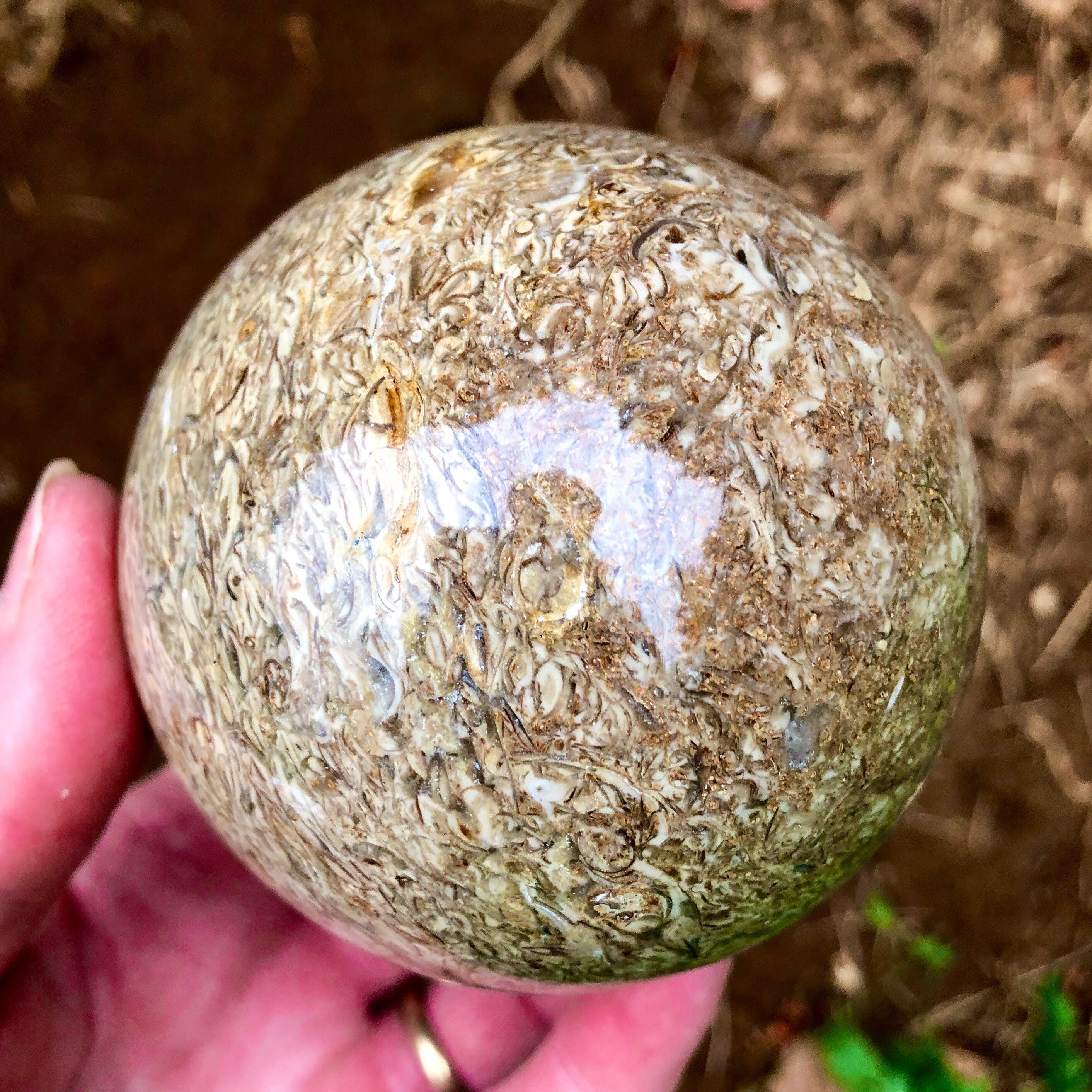 79mm Fossil Stone Jasper Sphere Orb Ball Mineral Display Specimen