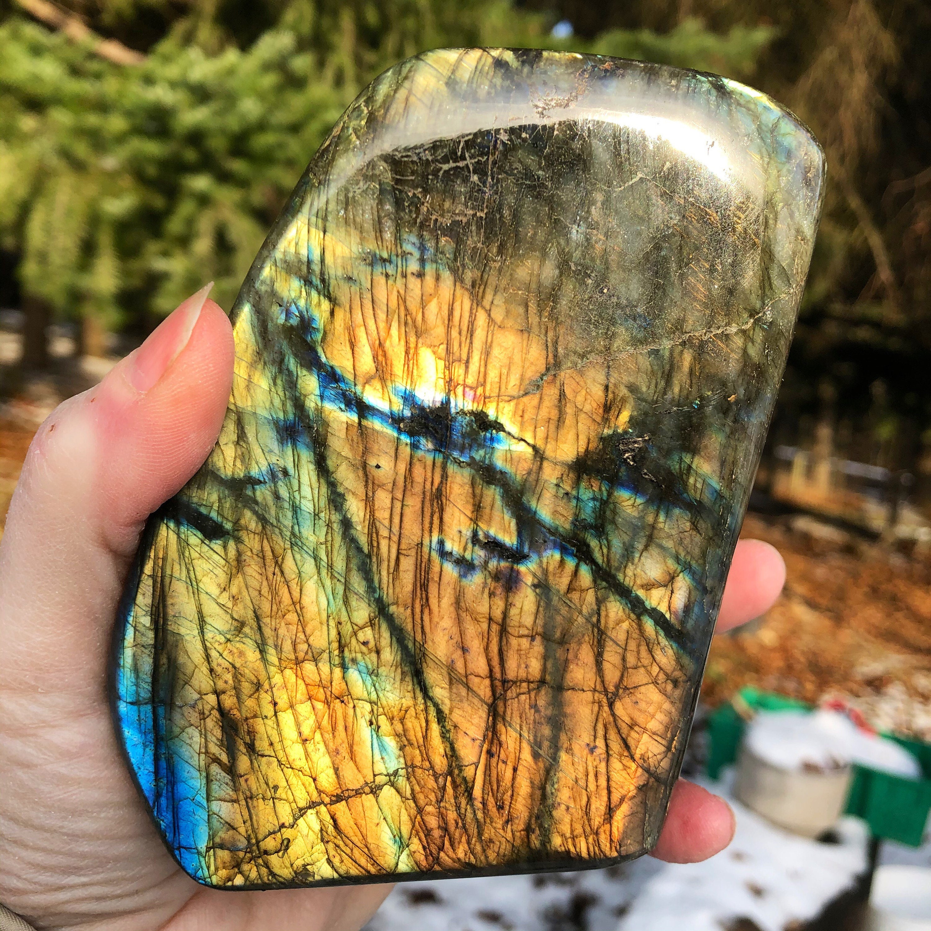 Spectralite Labradorite Standing Polished Freeform Display Specimen