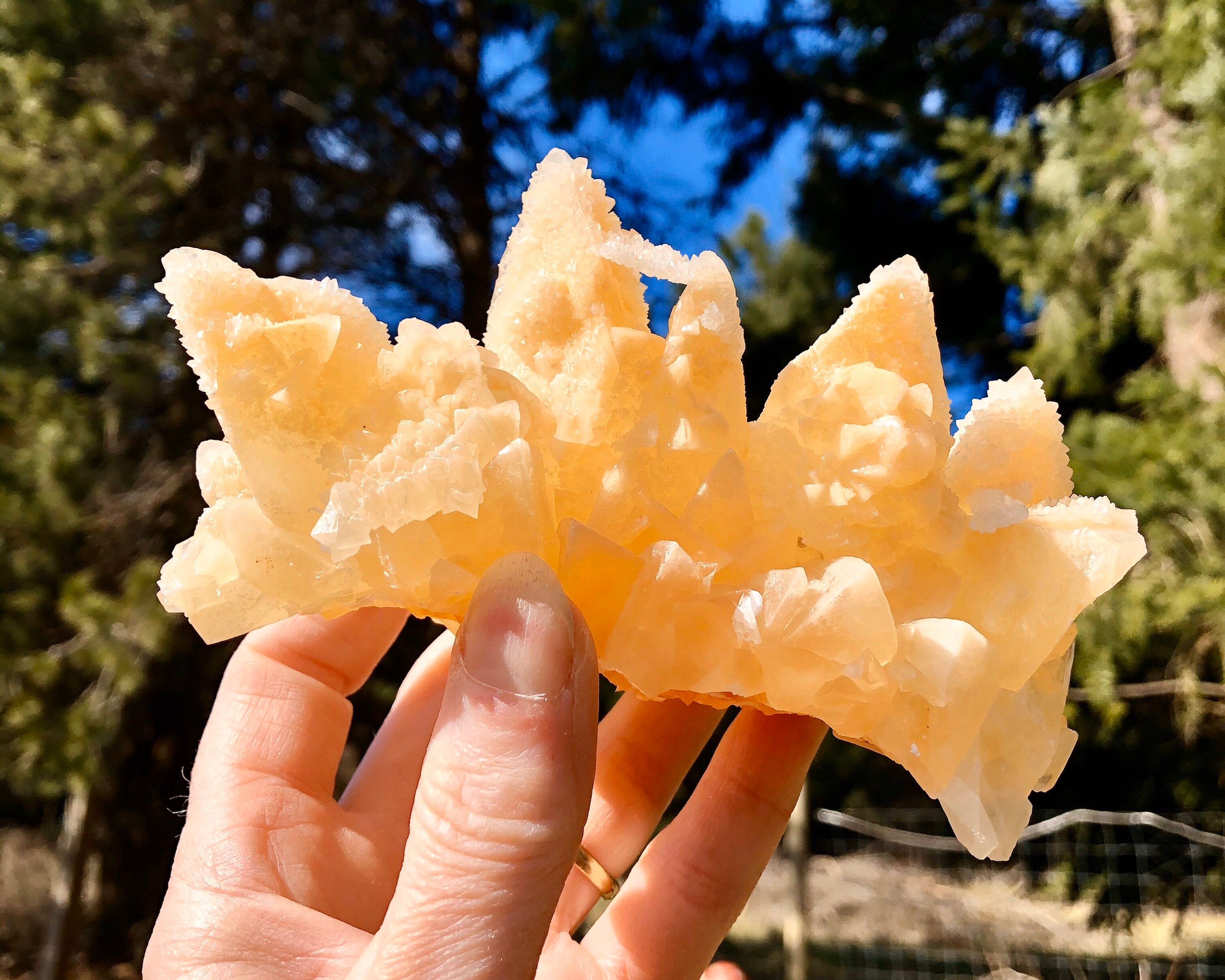 440g Golden Yellow Dogtooth Calcite Crystal Cluster Mineral Display ...