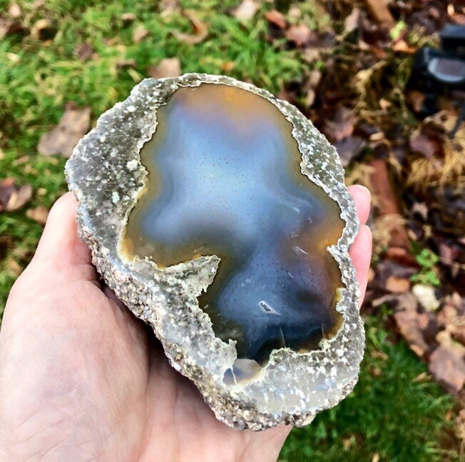 Large Oregon Thunder Egg Half polished for display or Home Decor