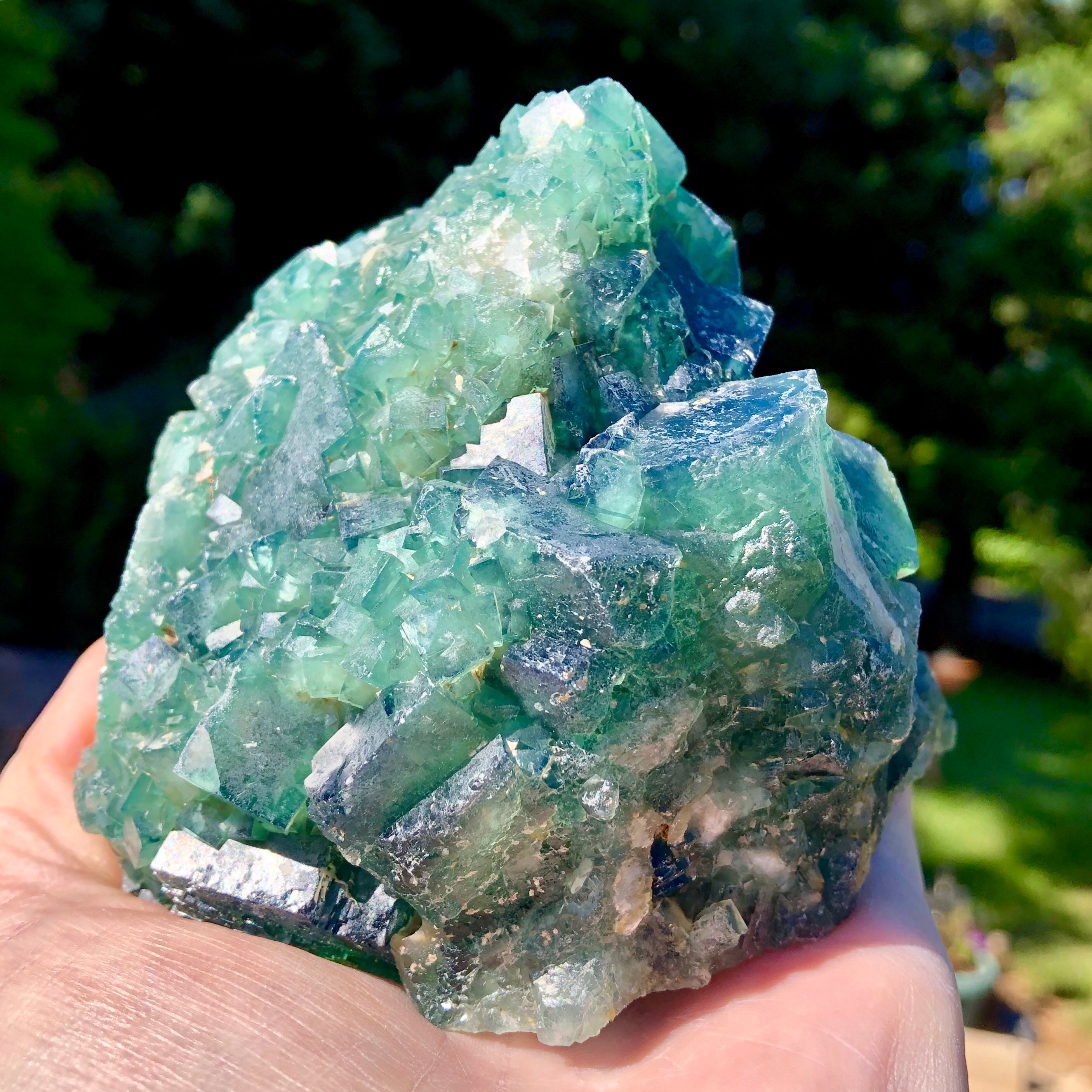 864g Upright Green Cubic Fluorite Crystal Cluster Standing Mineral ...