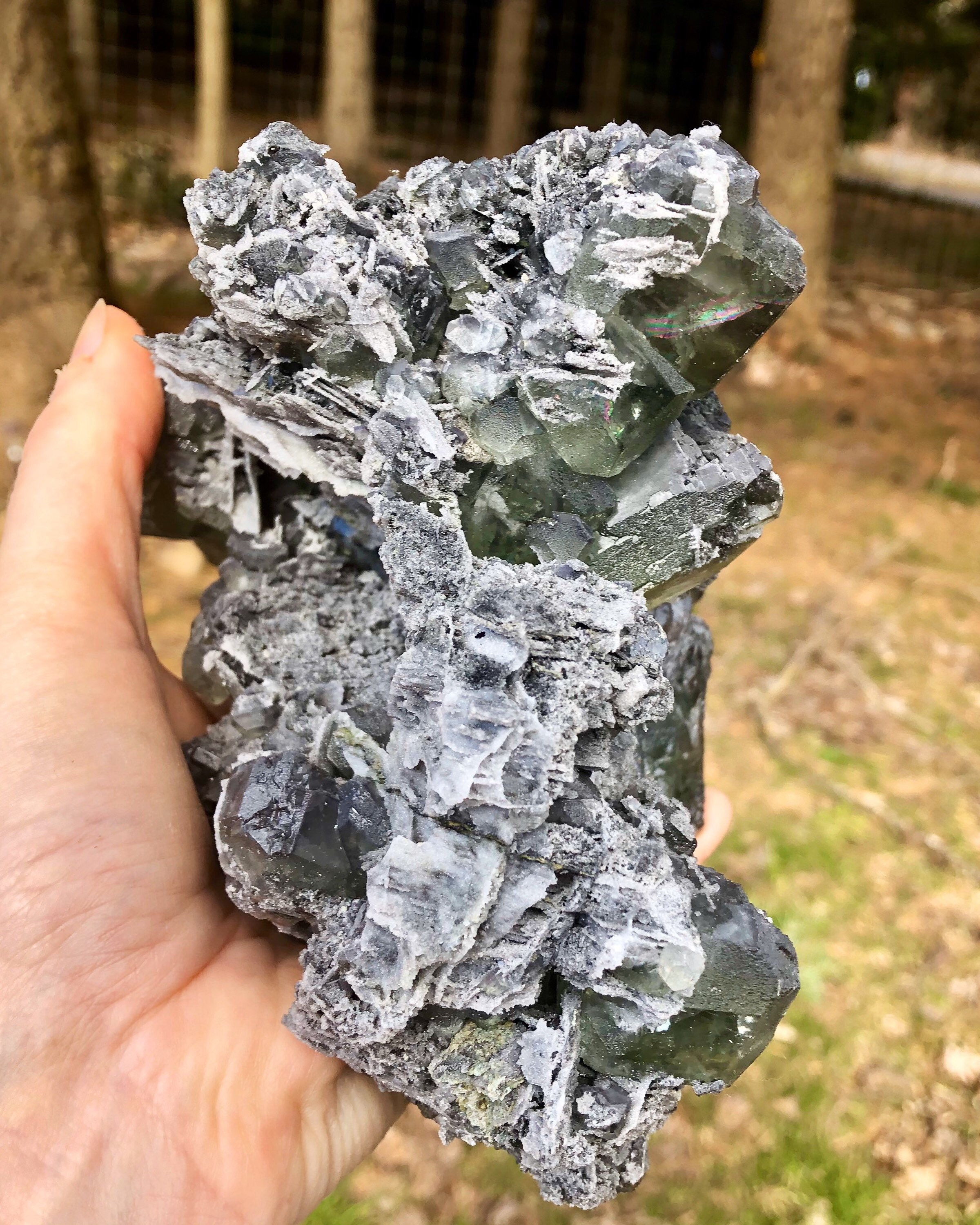 1978g Large Octagonal Green Fluorite On Druzy Gray Matrix Crystal ...
