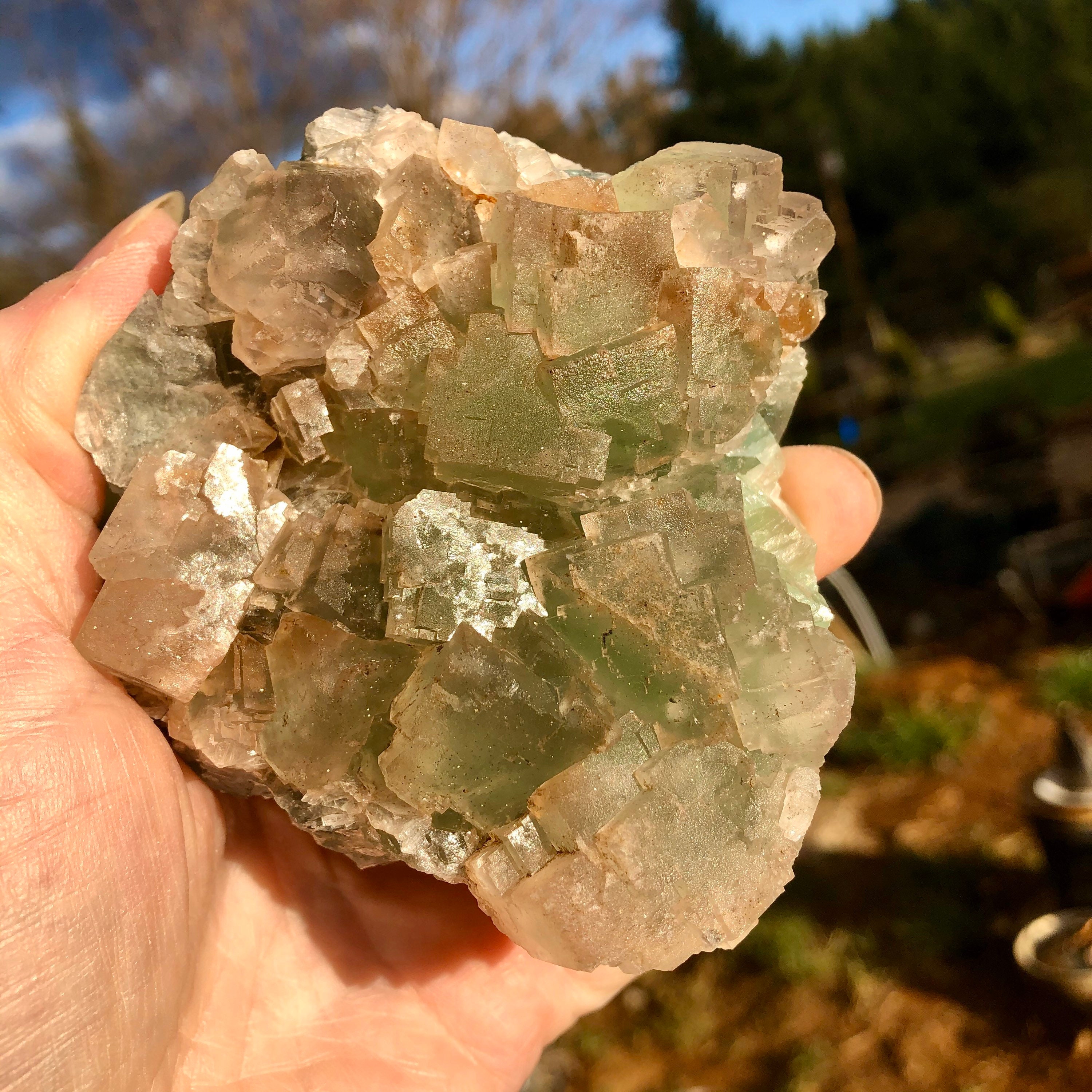 396g Purple Over Green Cubic Ladder Fluorite Crystal Cluster Mineral ...