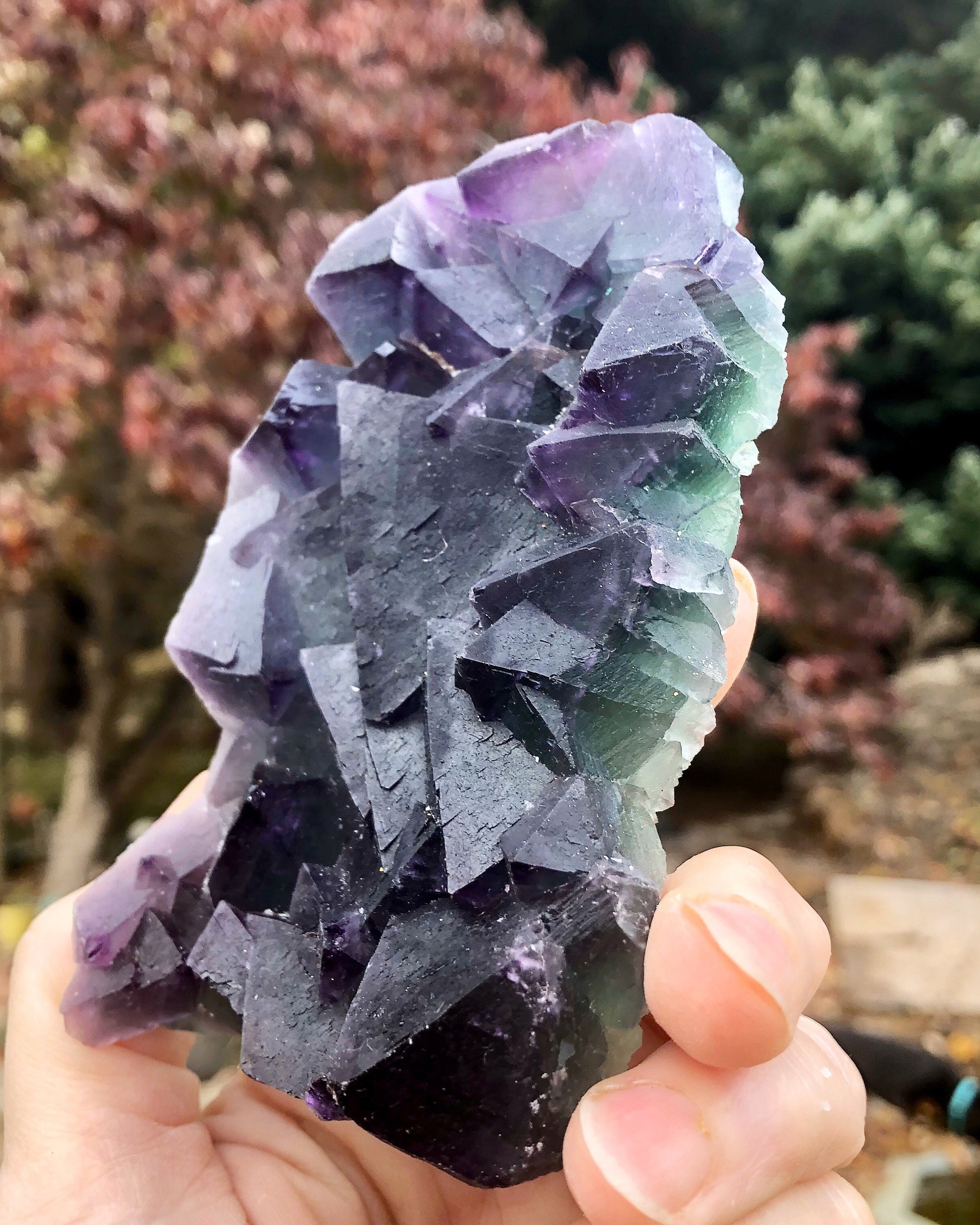 340g Purple over Green Trapezoidal Fluorite Crystal Cluster Specimen