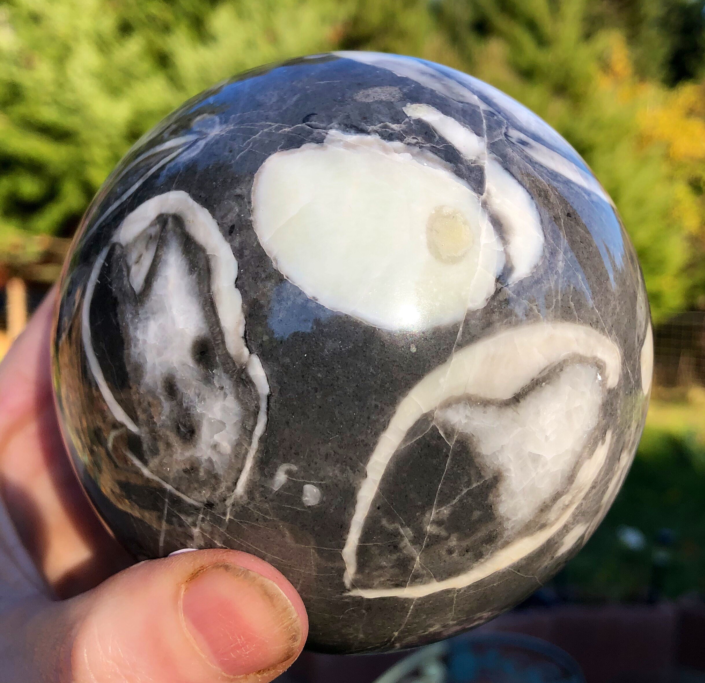 92mm Thousand Eyes Stone aka Fossil Shellstone Jasper Sphere Orb Ball