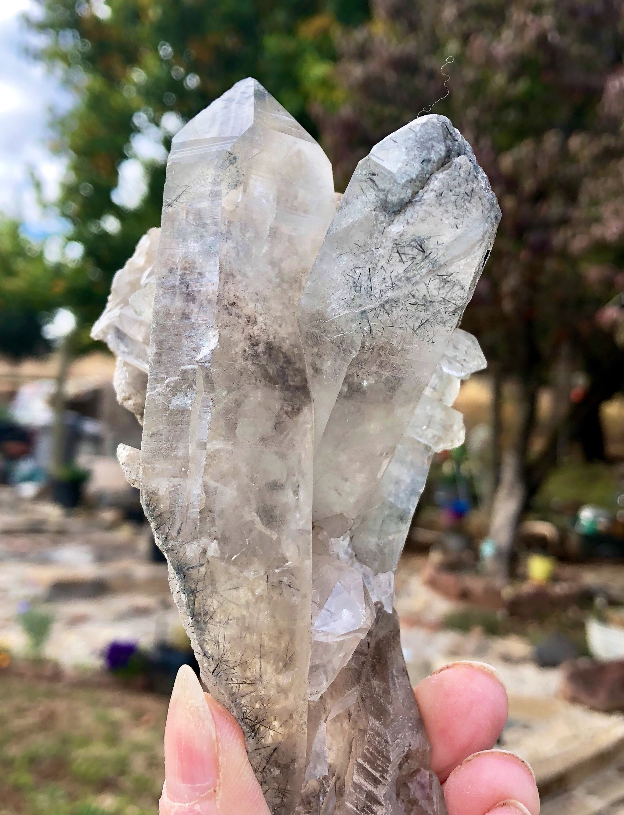 Tourmalated ( or Tourmalined ) Lemurian Ancestral Quartz Crystal Cluster