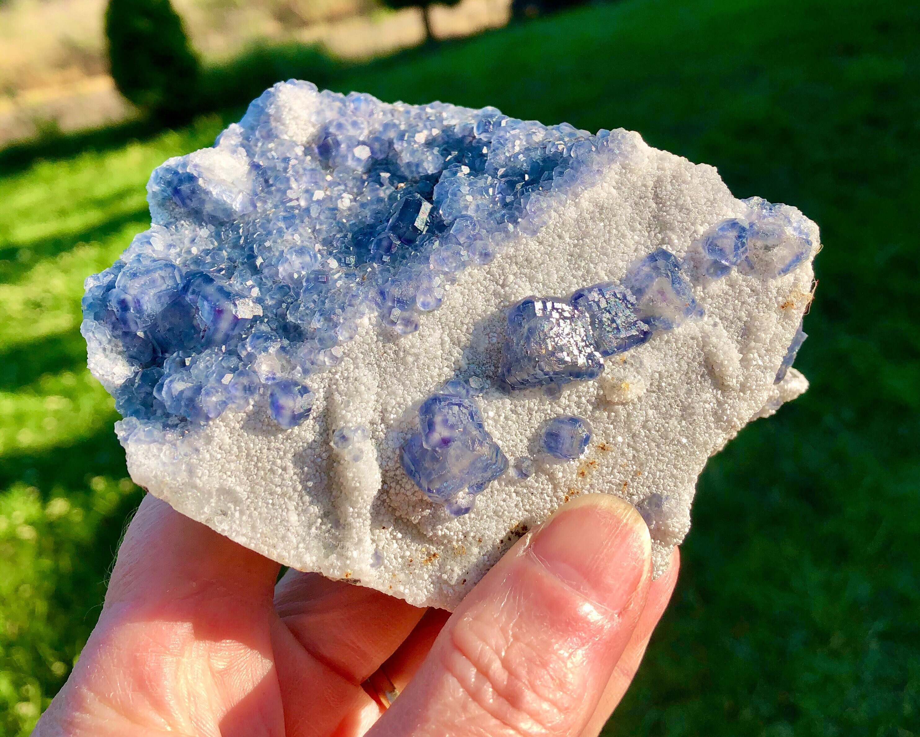 440g Blue Cubic Fluorite On White Druzy Quartz Crystal Cluster Mineral ...