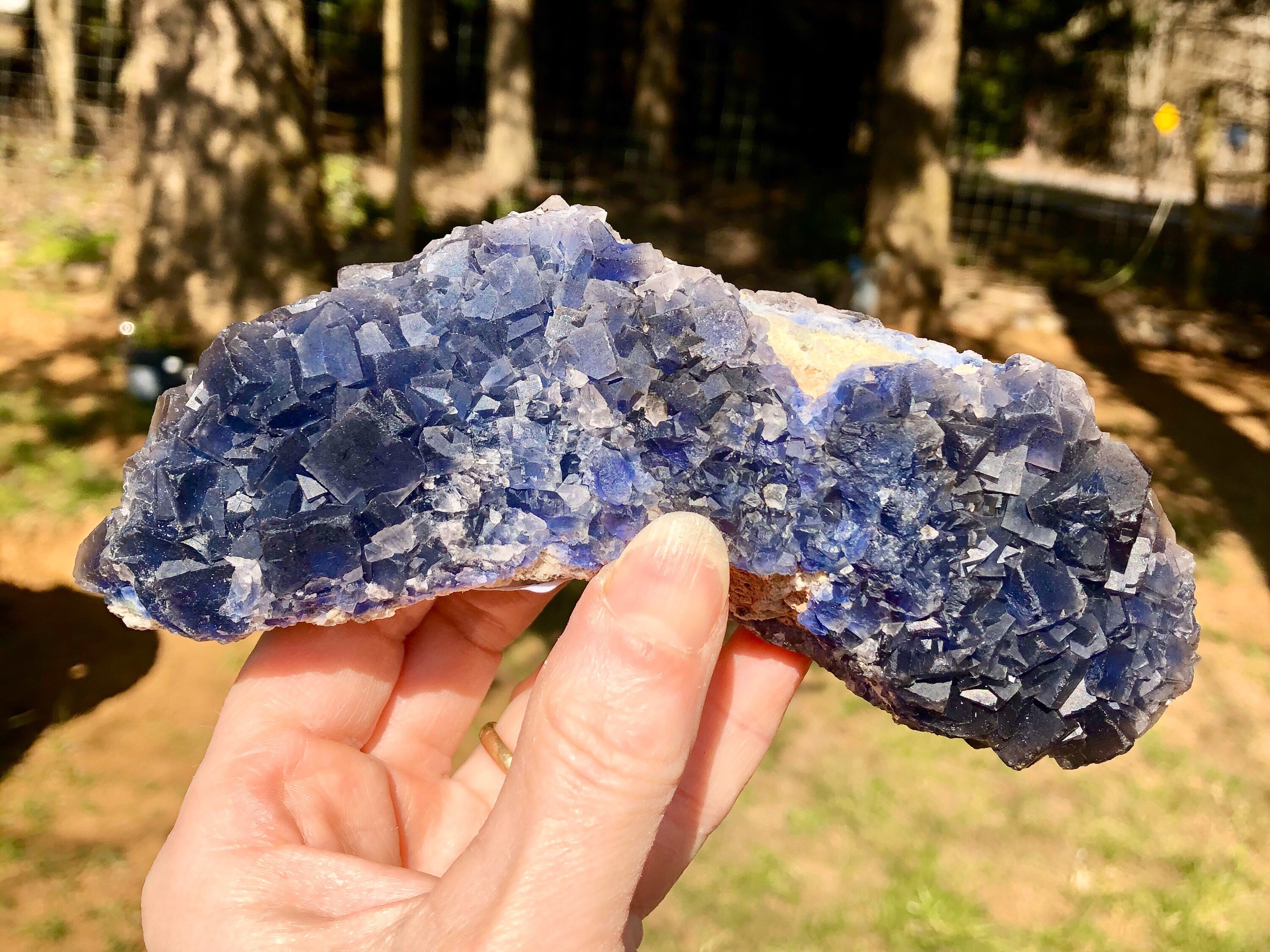 470g Double Sided Blue Cubic Fluorite Crystal Cluster Mineral Display ...