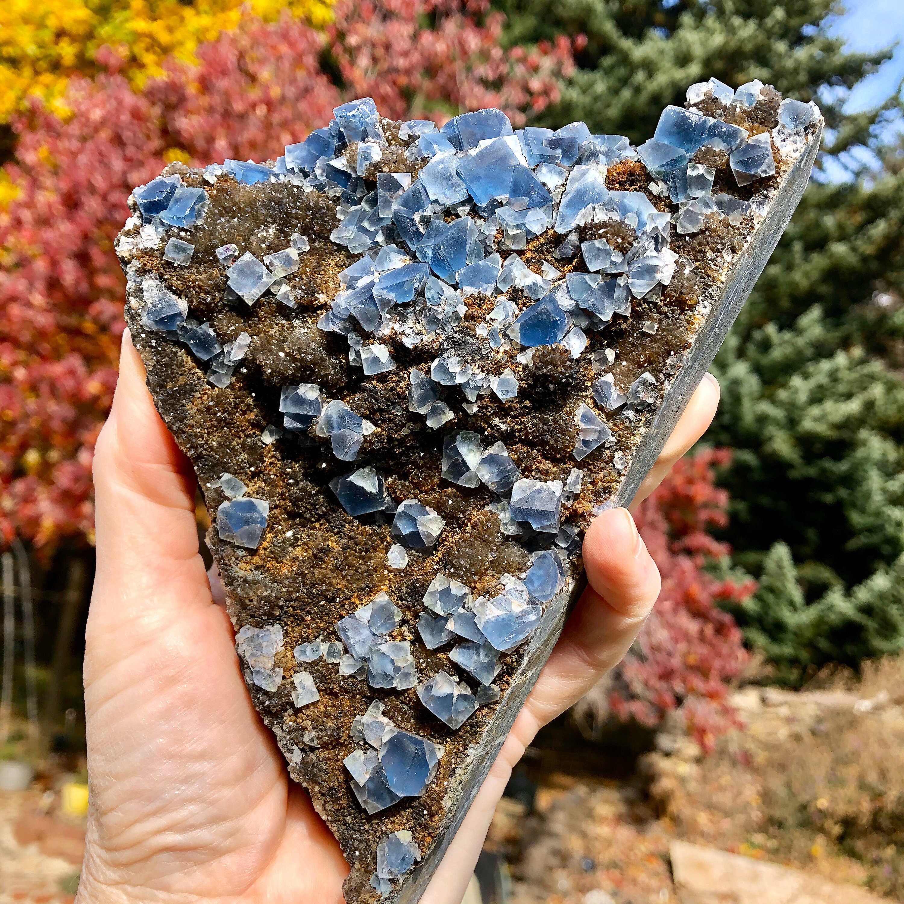 632g Blue Cubic Fluorite on Druzy Smoky Quartz Crystal Cluster Specimen