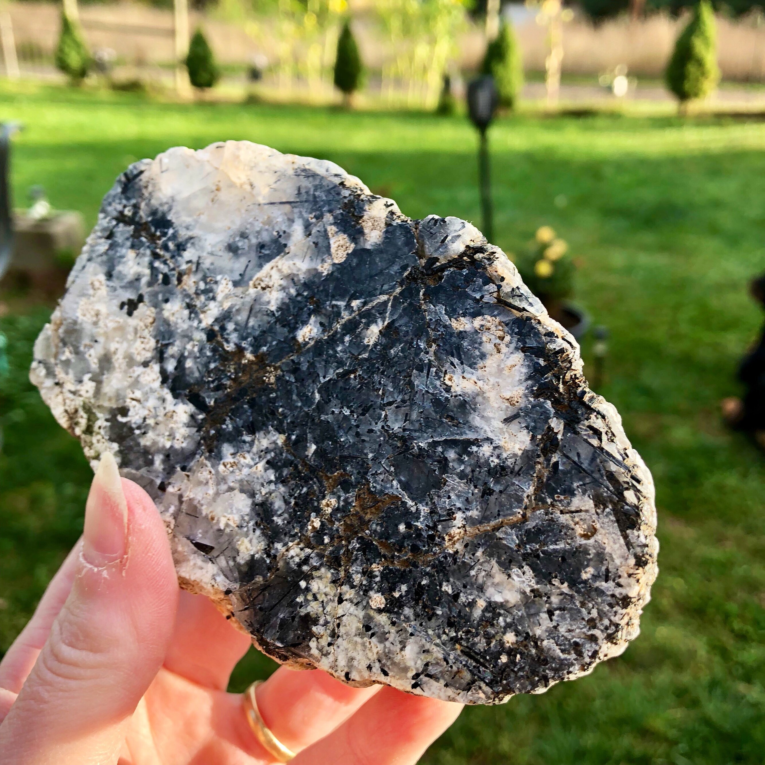 Black Tourmaline in Quartz Specimen for collectors or lapidary use ...