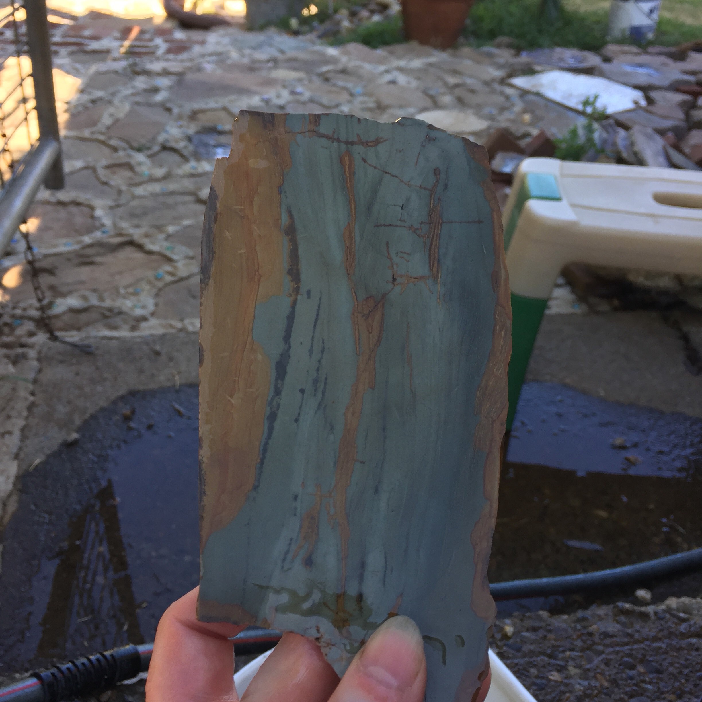 Blue Mountain Jasper slab unpolished for lapidary cutting