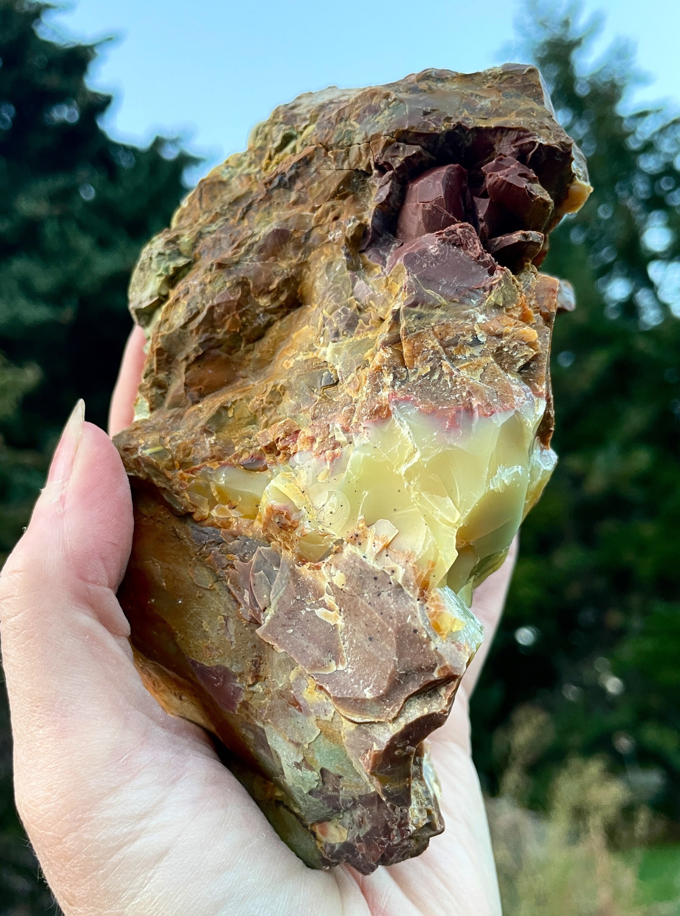 2.35 lb Oregon Opal on Rhyolite Jasper Mineral Display Specimen