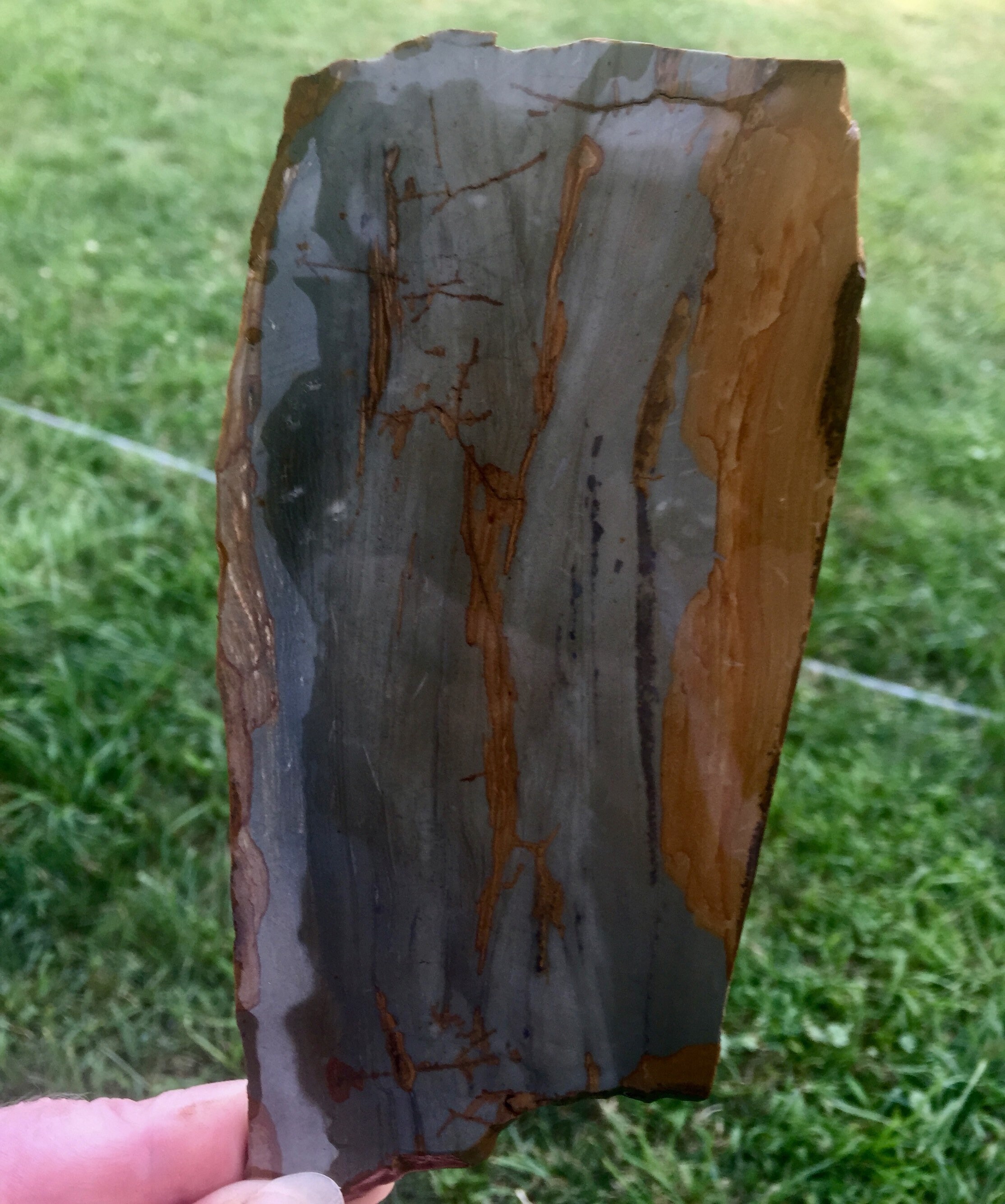 Large Owyhee Jasper slab from Oregon, USA for lapidary use, unpolished