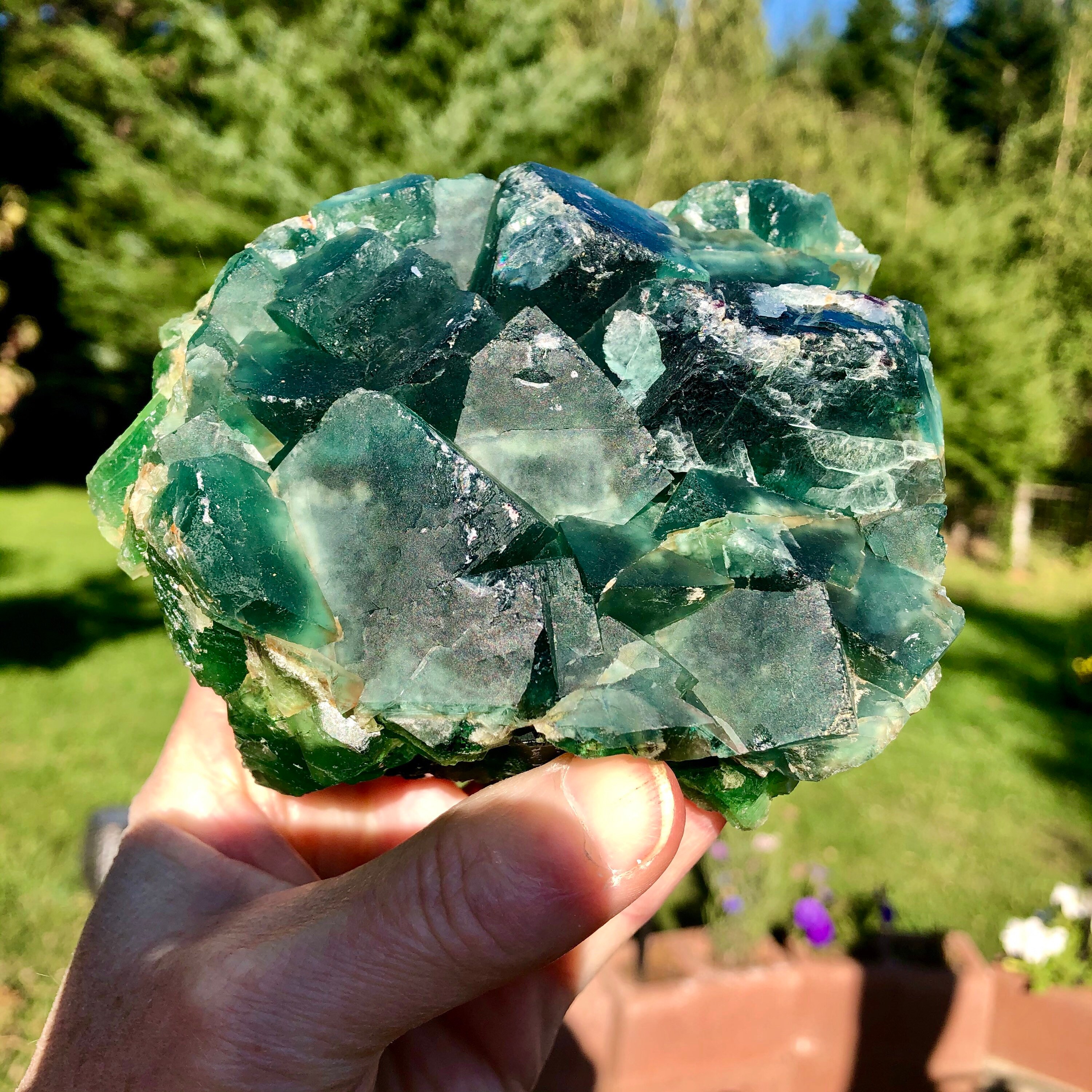 950g Vivid Green Cubic Fluorite Crystal Cluster Display Specimen