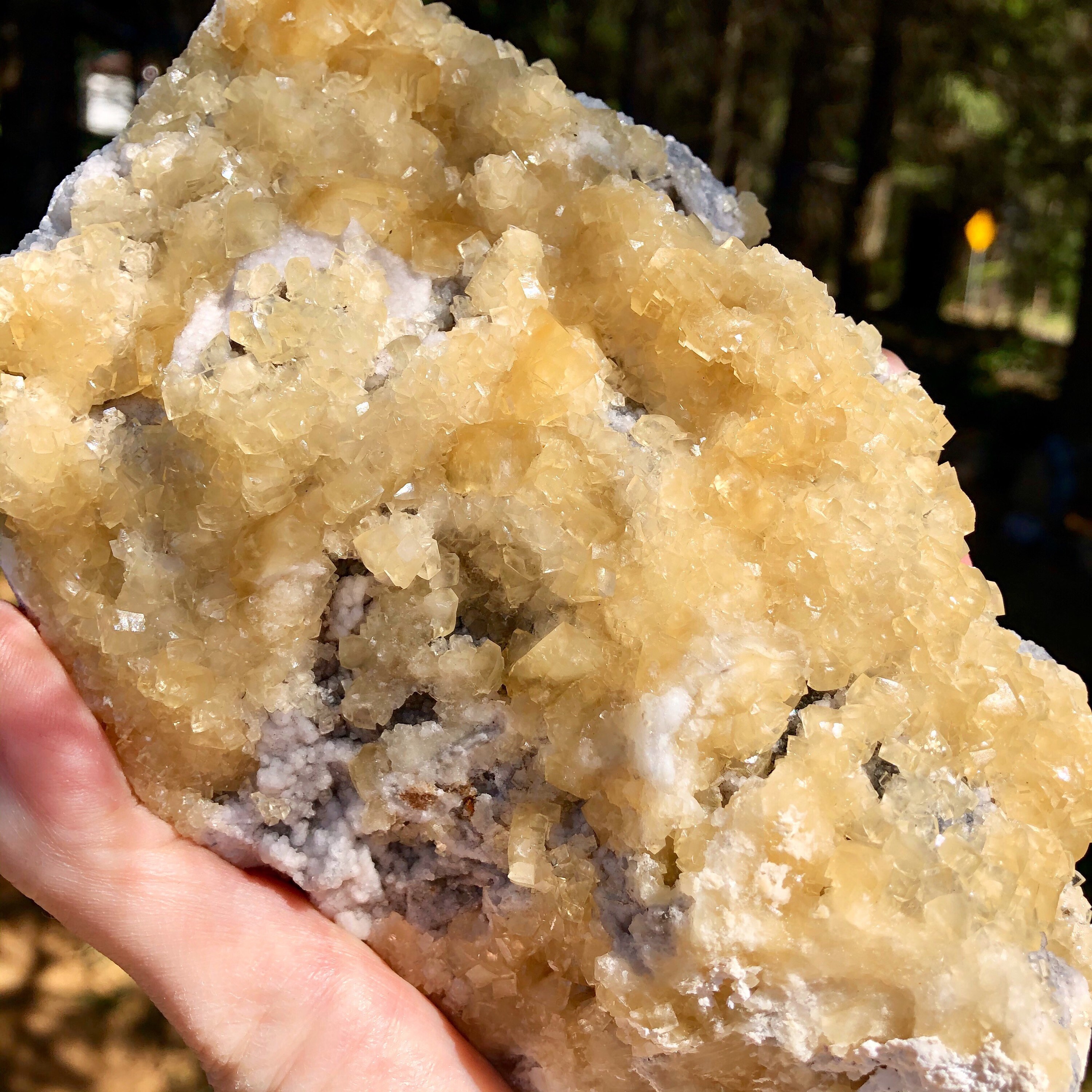 2.48 lbs Large Yellow Cubic Calcite Crystal Cluster On Botryoidal White ...