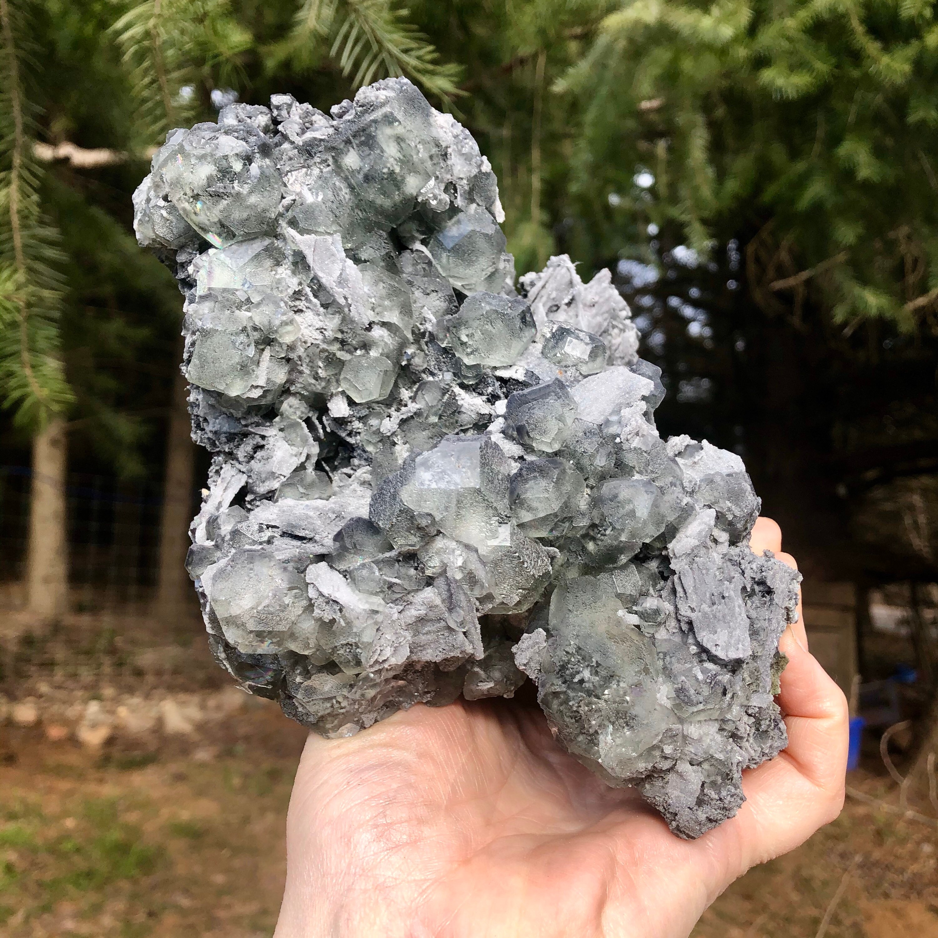 1978g Large Octagonal Green Fluorite On Druzy Gray Matrix Crystal ...