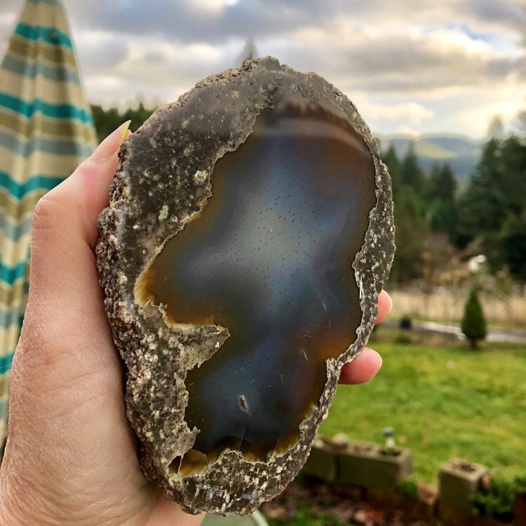Large Oregon Thunder Egg Half polished for display or Home Decor