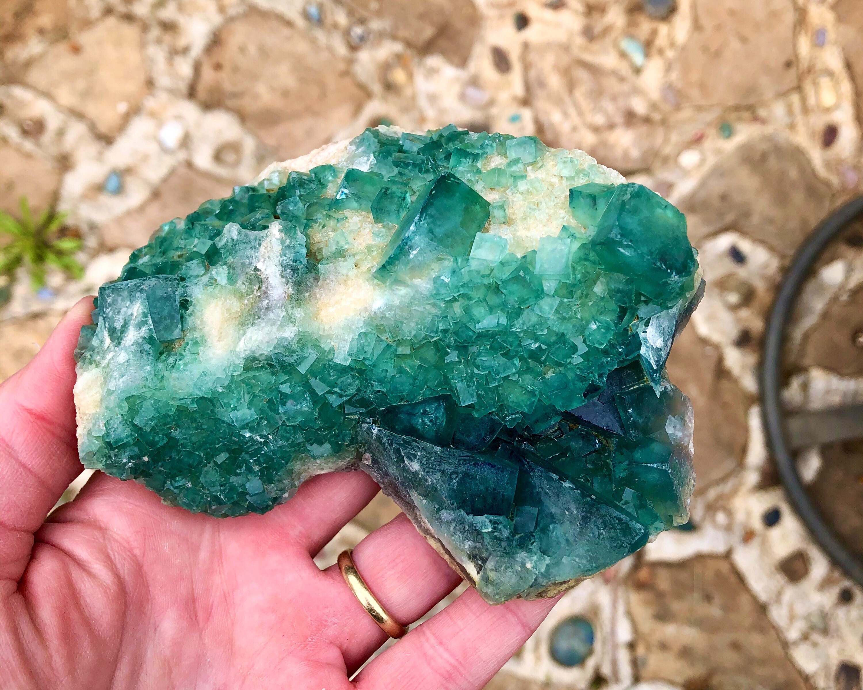 442g Green Transparent Cubic Fluorite On White Quartz Crystal Cluster ...