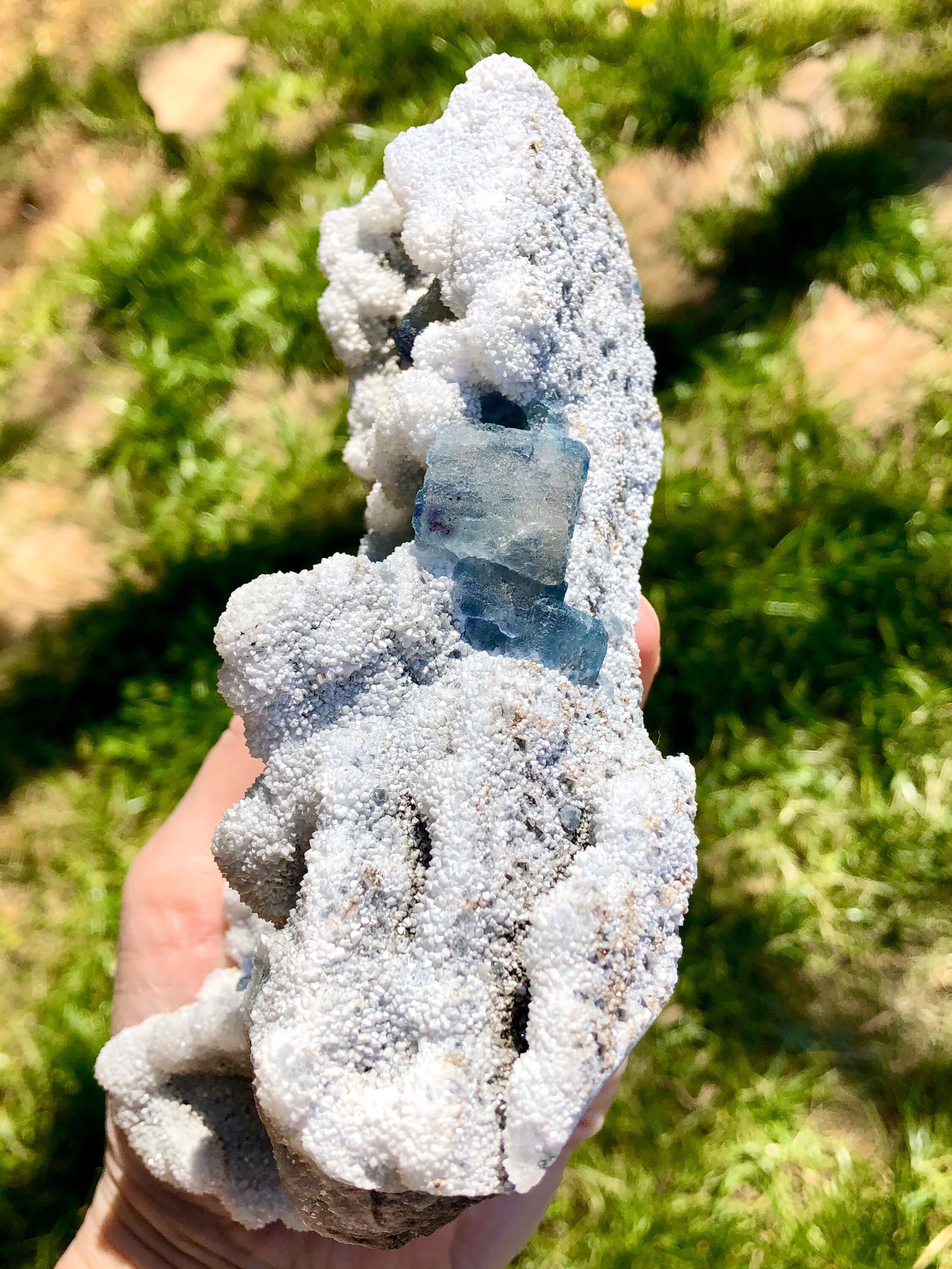 654g Blue Cubic Fluorite On White Druzy Stalactic Chalcedony Crystal ...