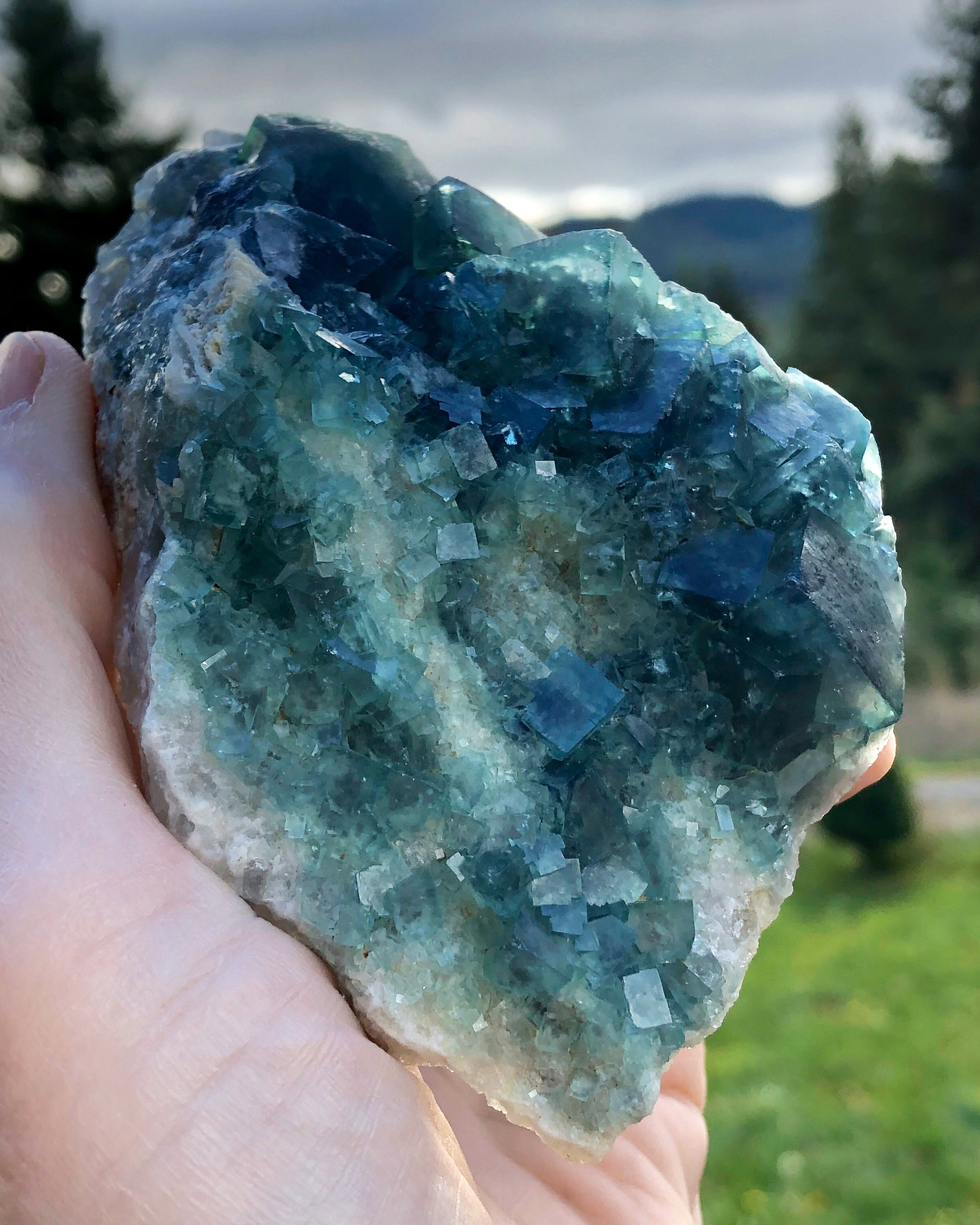 312g Green Cubic Fluorite Crystal Cluster Specimen