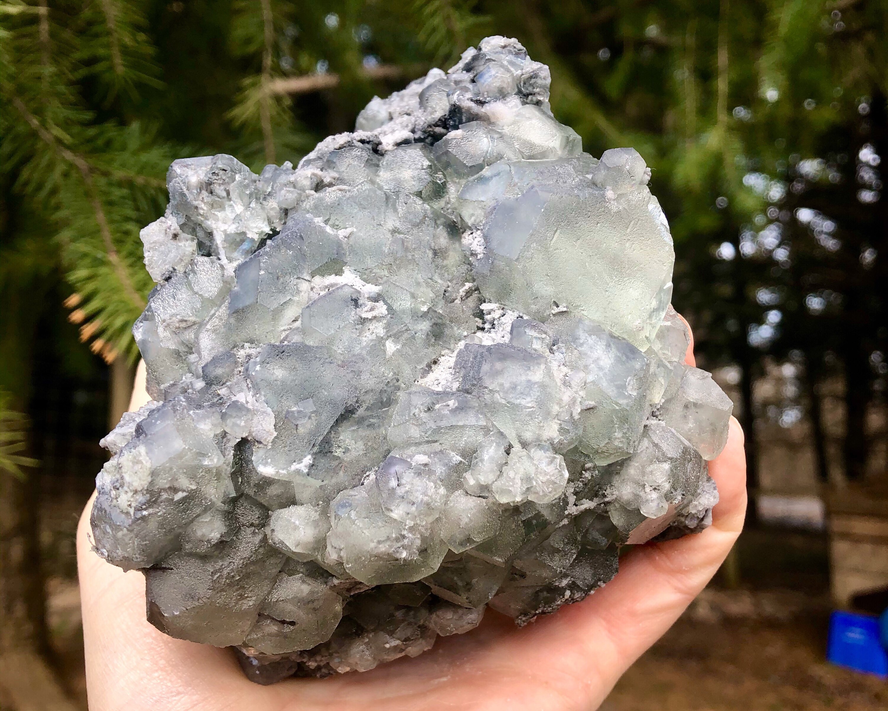 1020g Light Green Fluorite On Gray Druzy Matrix Crystal Cluster Specimen