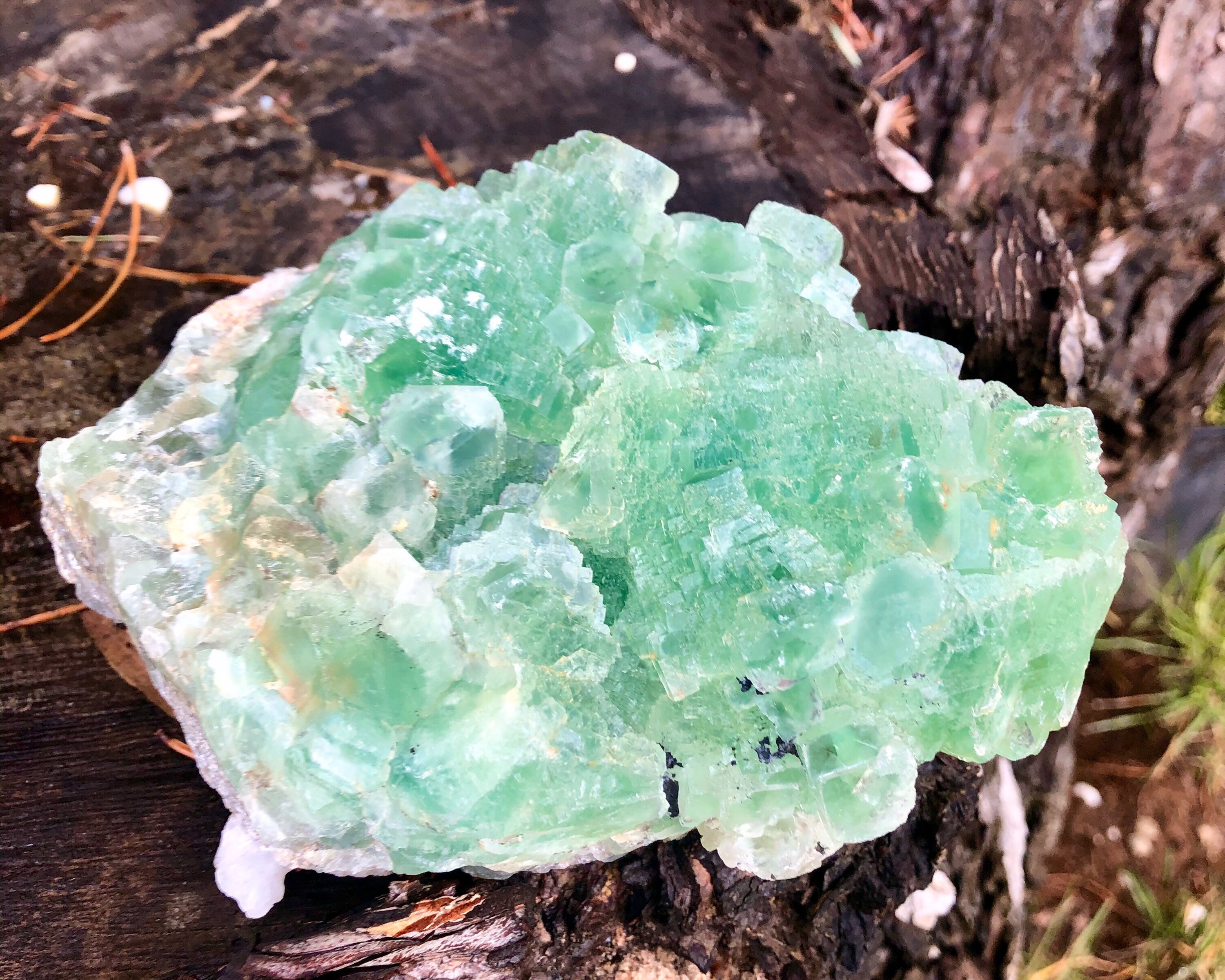 1596g Large Lime Green Cubic Octagonal Fluorite Crystal Cluster Mineral ...