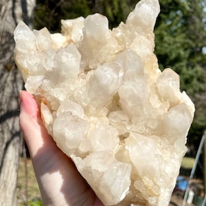 6.78 Lb Pineapple Quartz or Candle Quartz Crystal Cluster Mineral ...