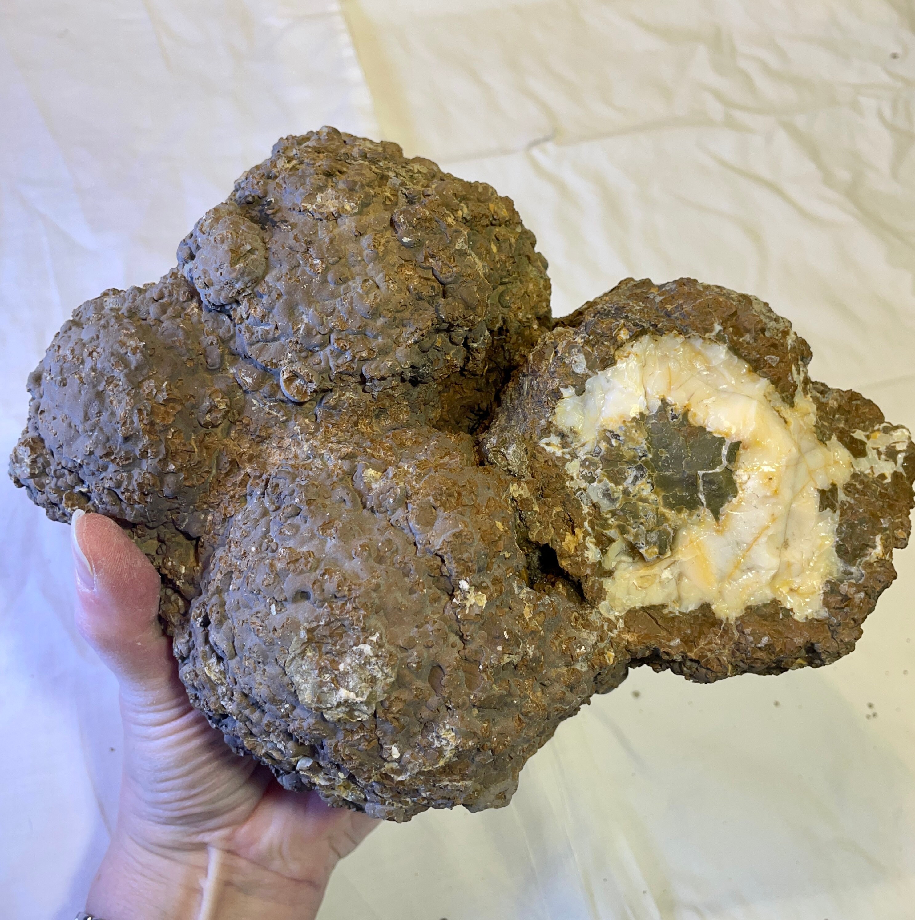 6.65 lb Huge uncut Thunder Egg from Oregon