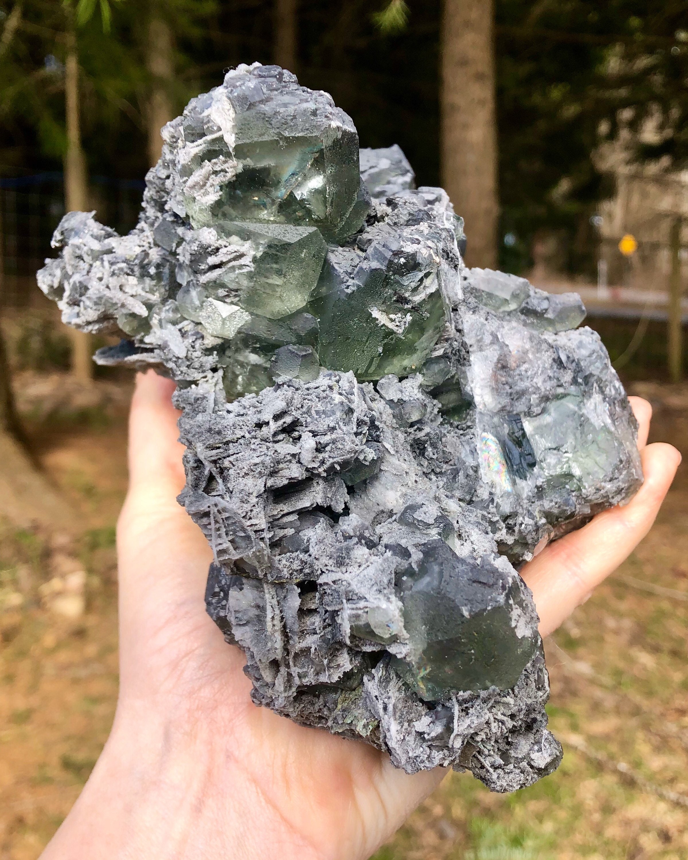 1978g Large Octagonal Green Fluorite On Druzy Gray Matrix Crystal ...